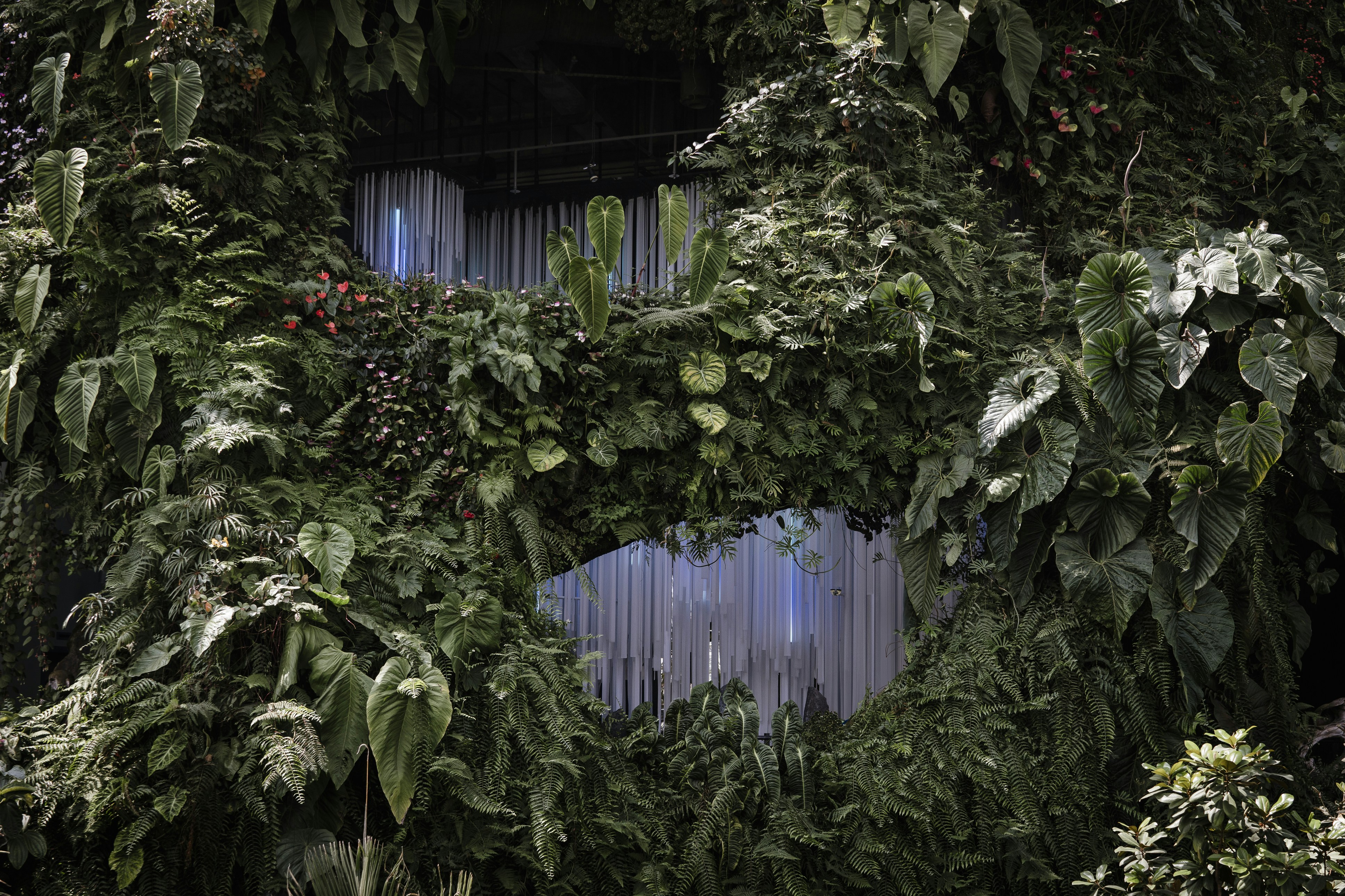 Jungle Gate: Neon Blue Light Behind Verdant Curtains