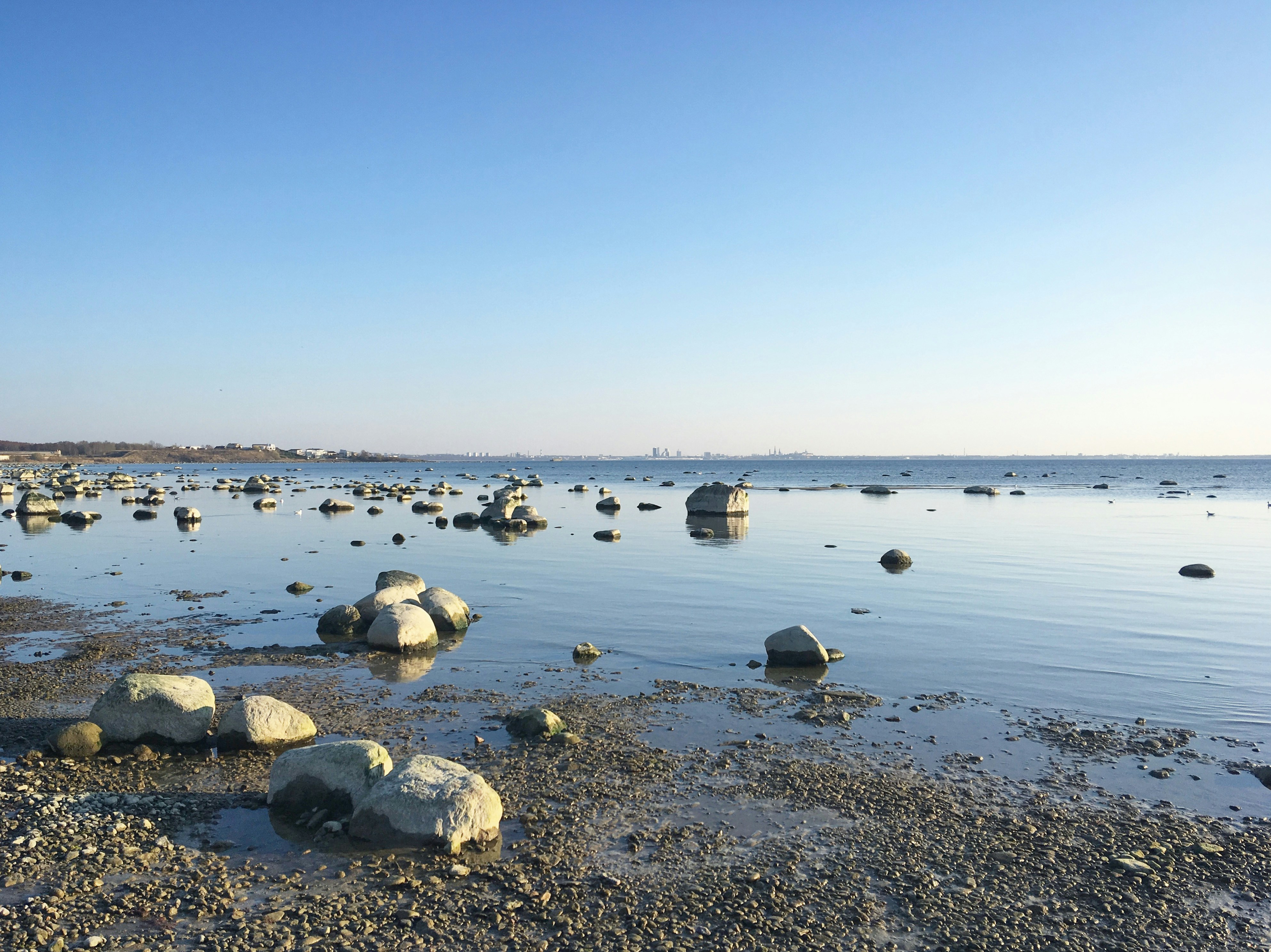 Low-Tide Mosaic: Round Stones Framing a Calm Seascape