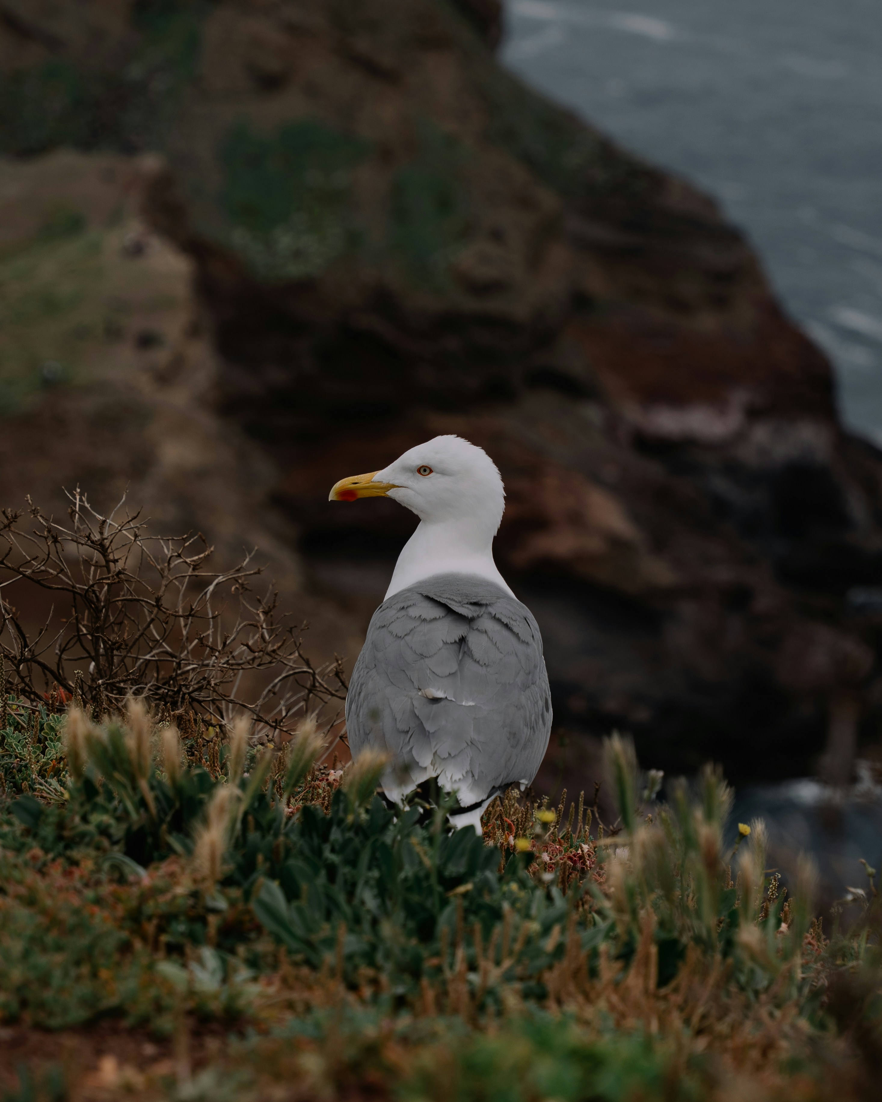 Photo by Samielle Støyl with Sony Alpha 7 IV