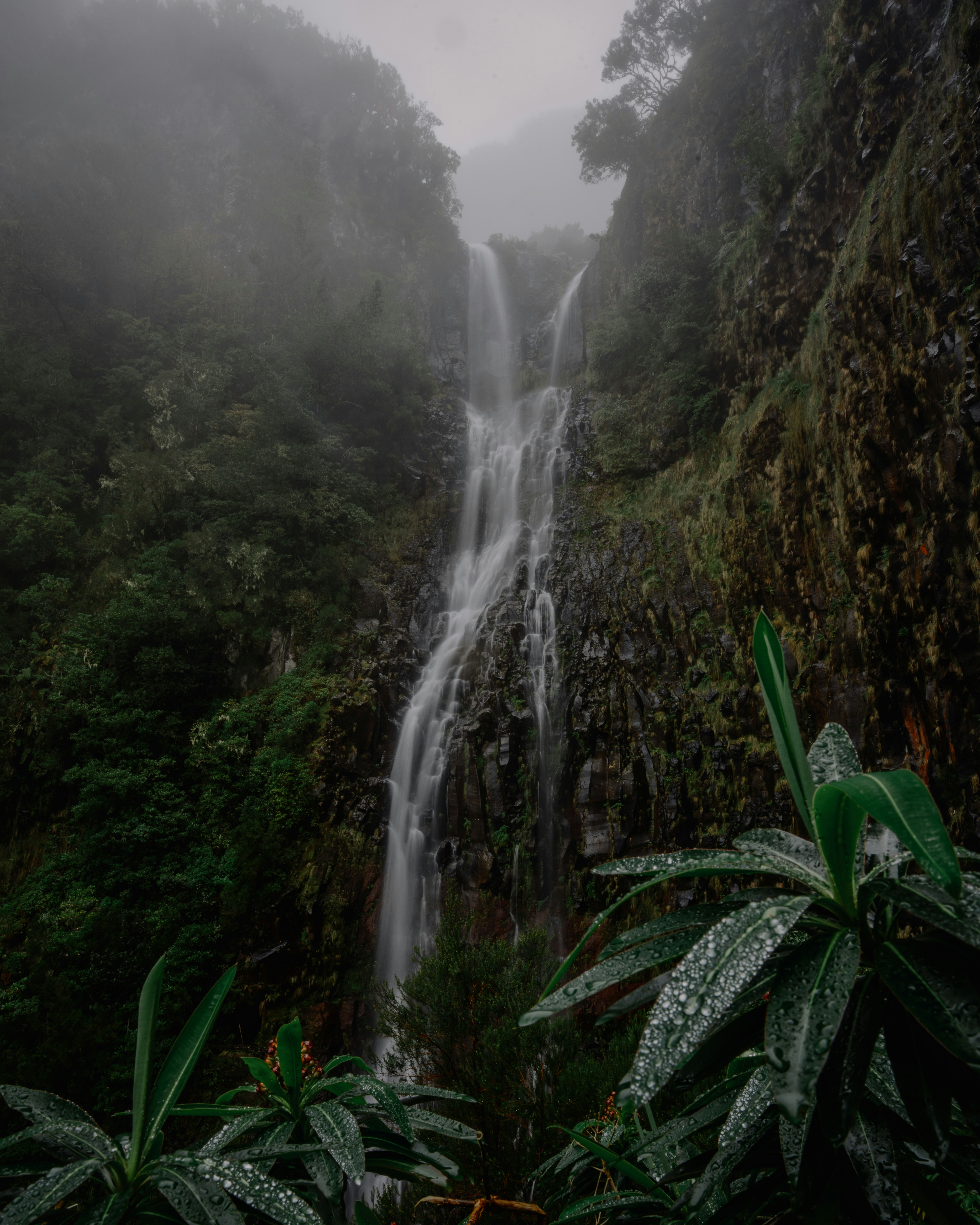 A majestic waterfall cascading down rocky cliffs, enveloped in mist, with lush green foliage in the foreground. The scene evokes a sense of tranquility and connection with nature.