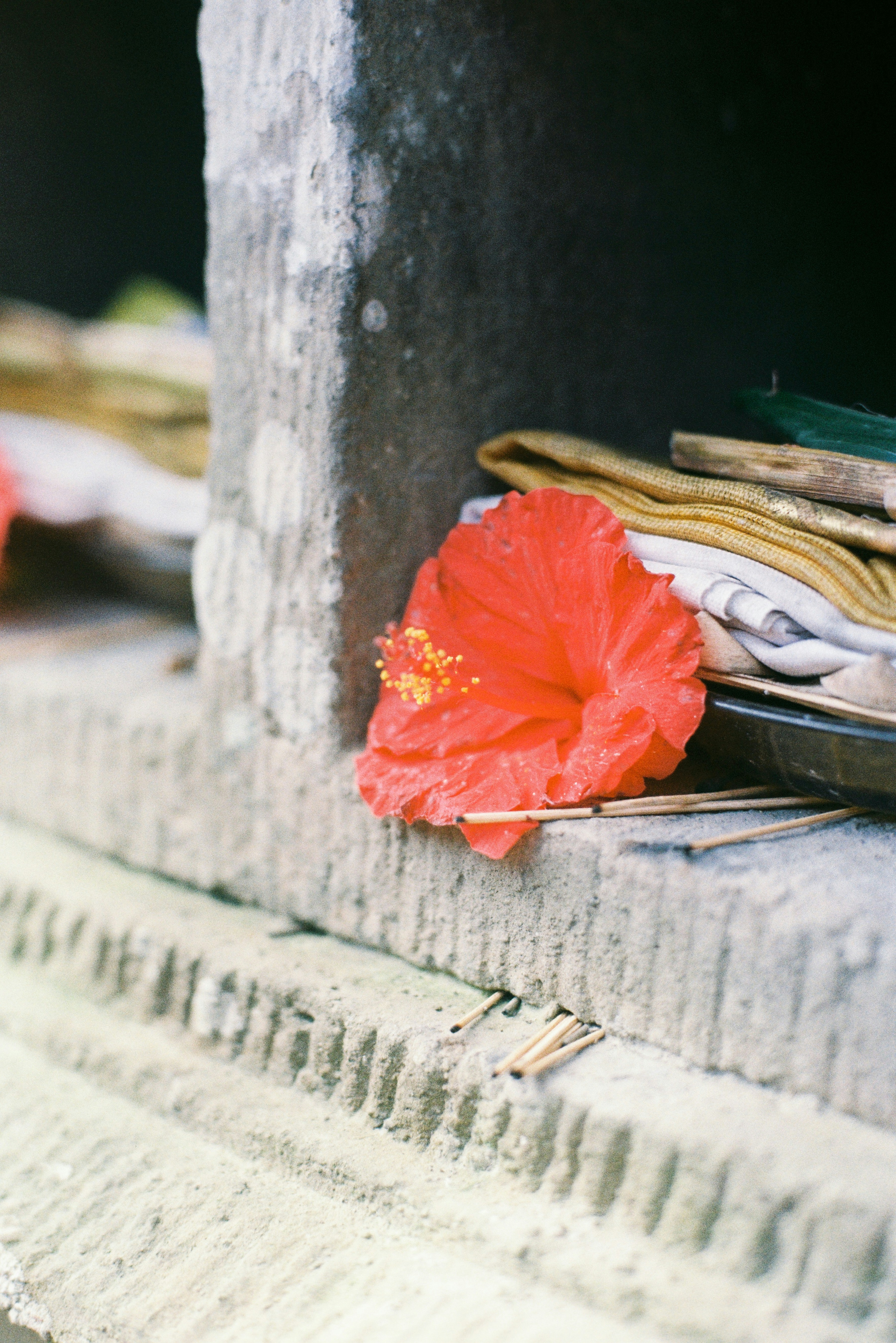 Crimson Hibiscus at the Foot of a Worn Stair