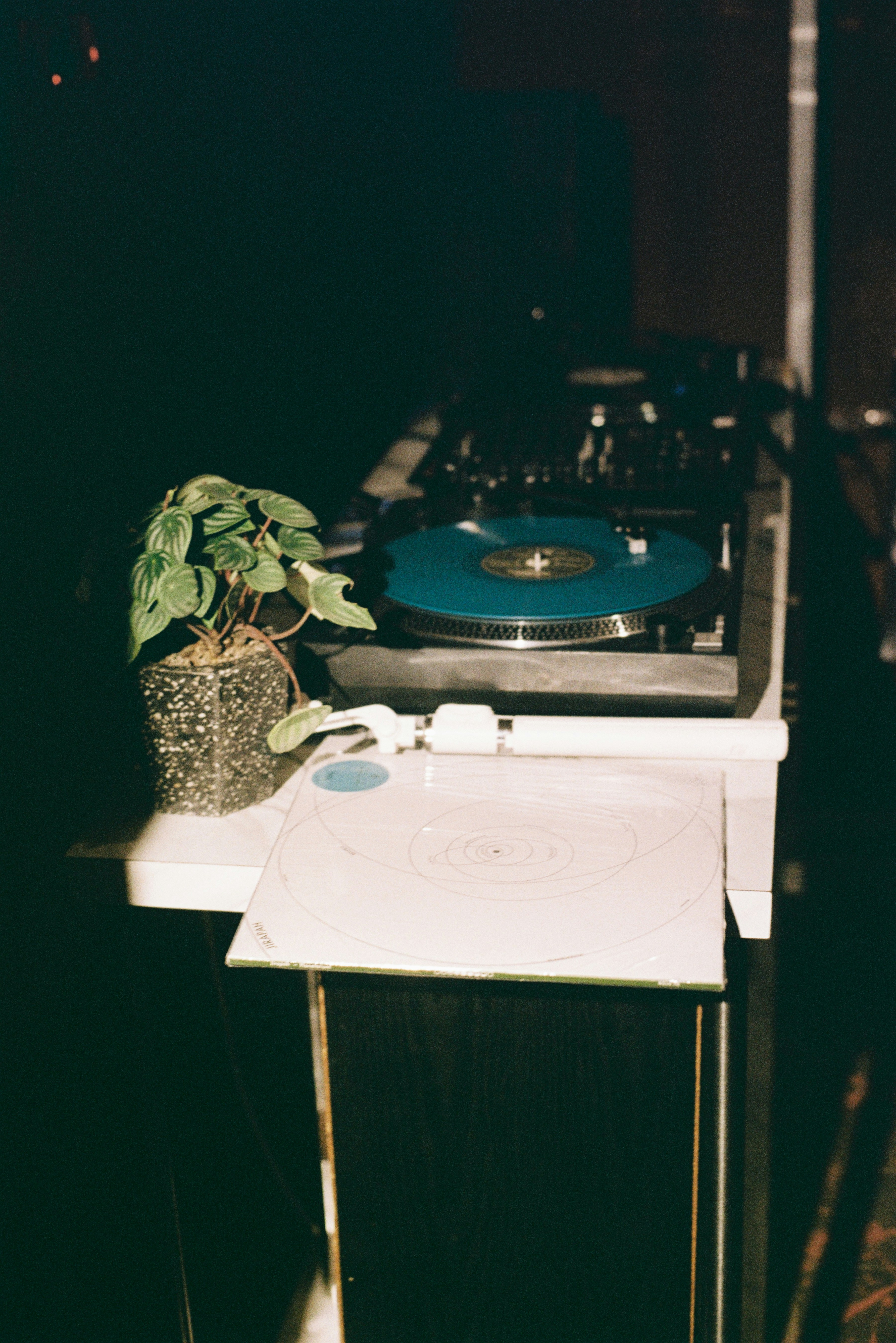 Turntable and plant on a dark dj setup.