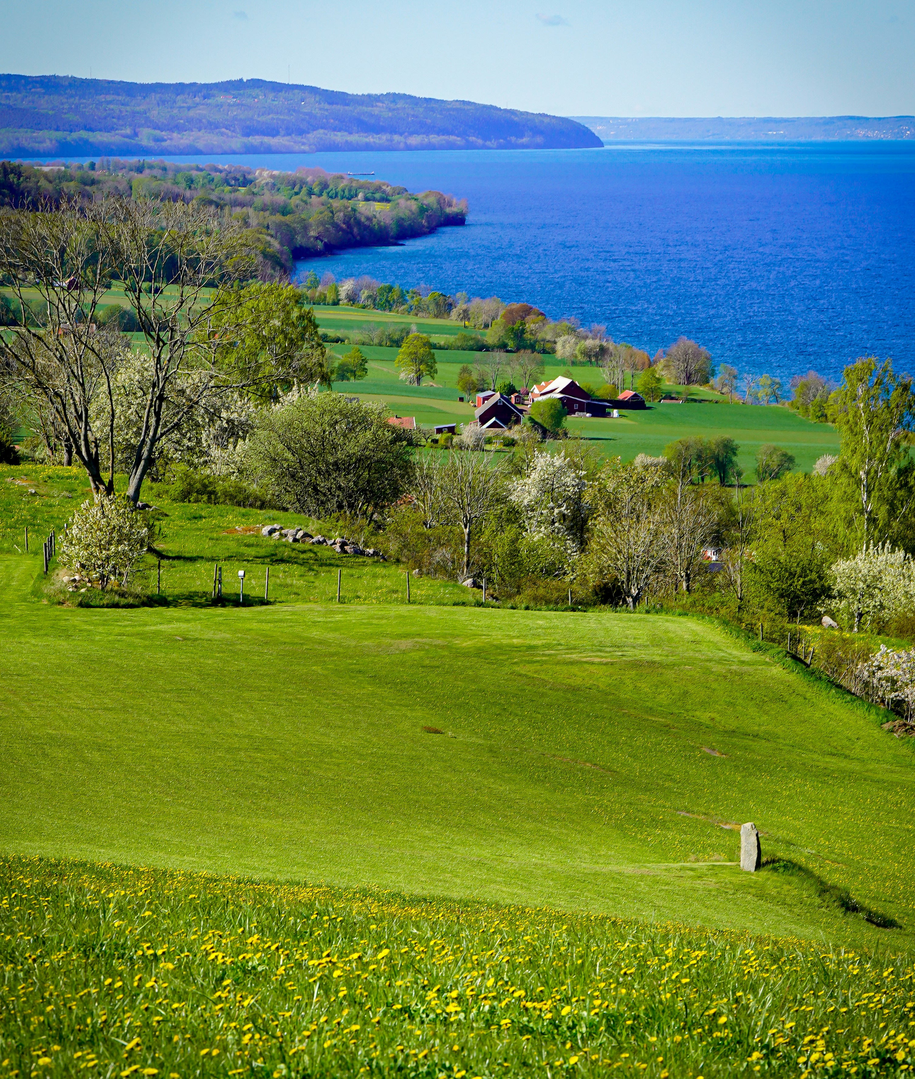 Coastal Pastures and a Quiet Village Beneath the Blue Horizon