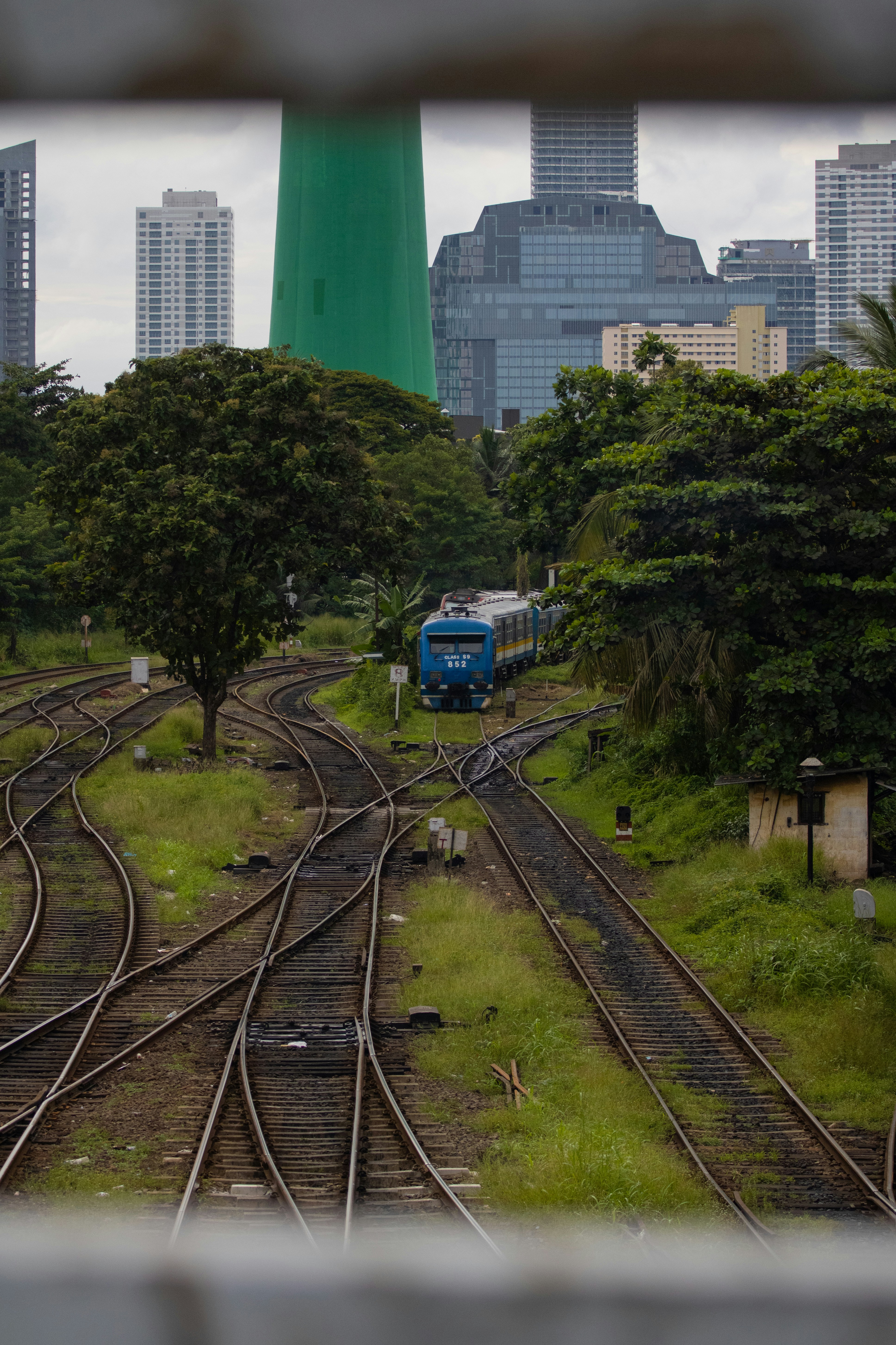 Blue Locomotive Threading the Green Corridor Toward a Distant Skyline