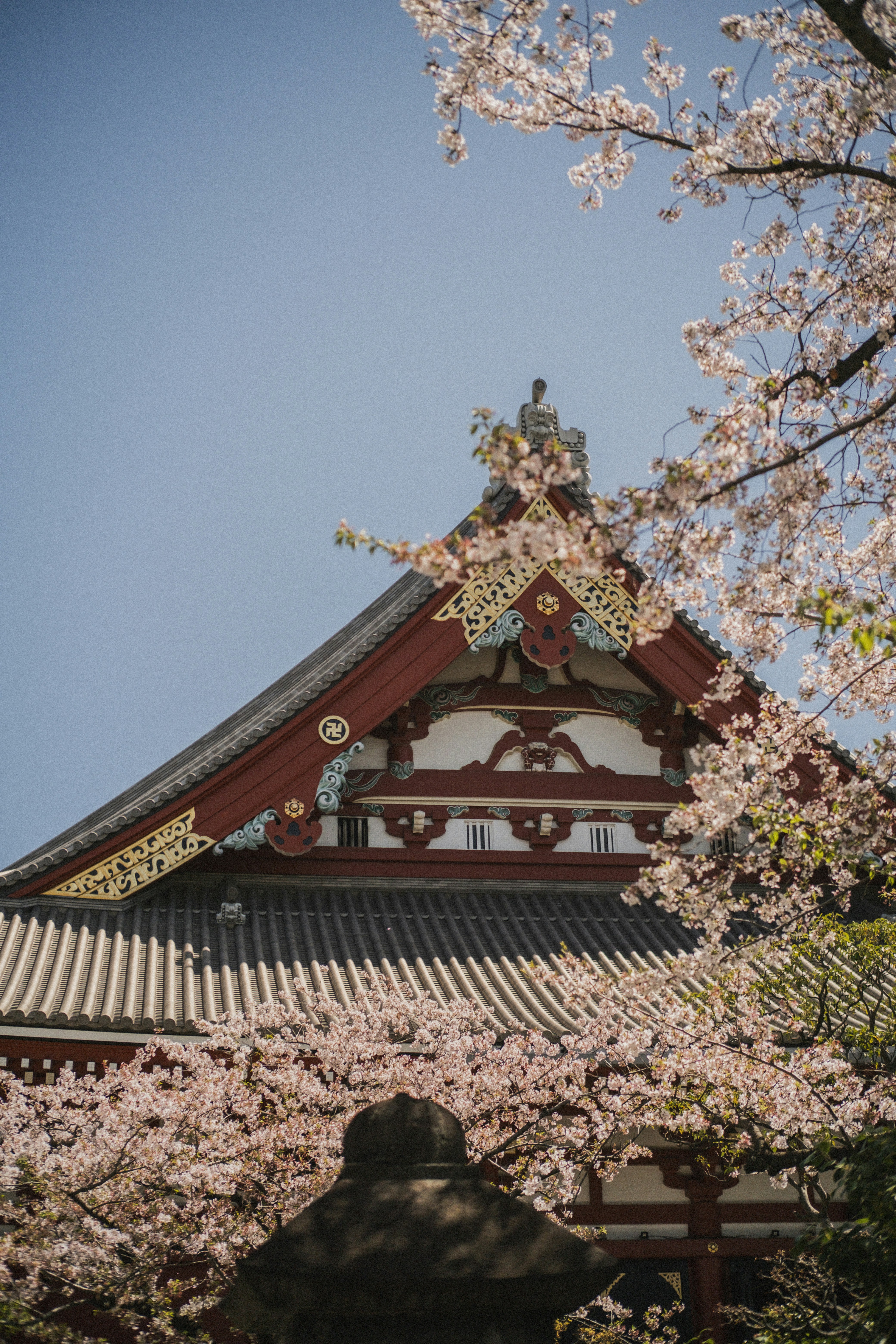 Cherry blossoms frame a traditional Japanese temple against a clear blue sky.