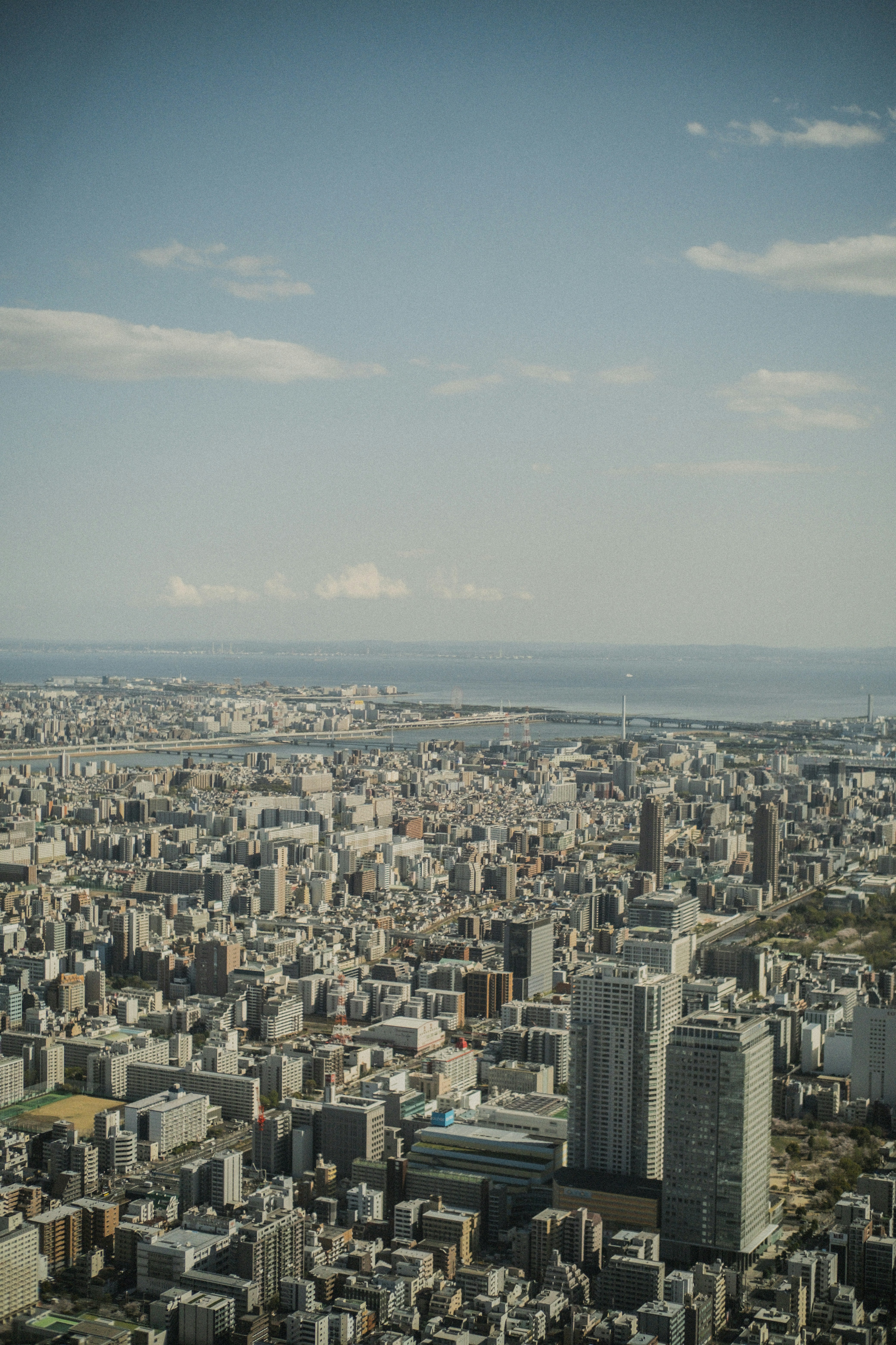 Aerial view of a sprawling city near the ocean. photo – Free Travel ...