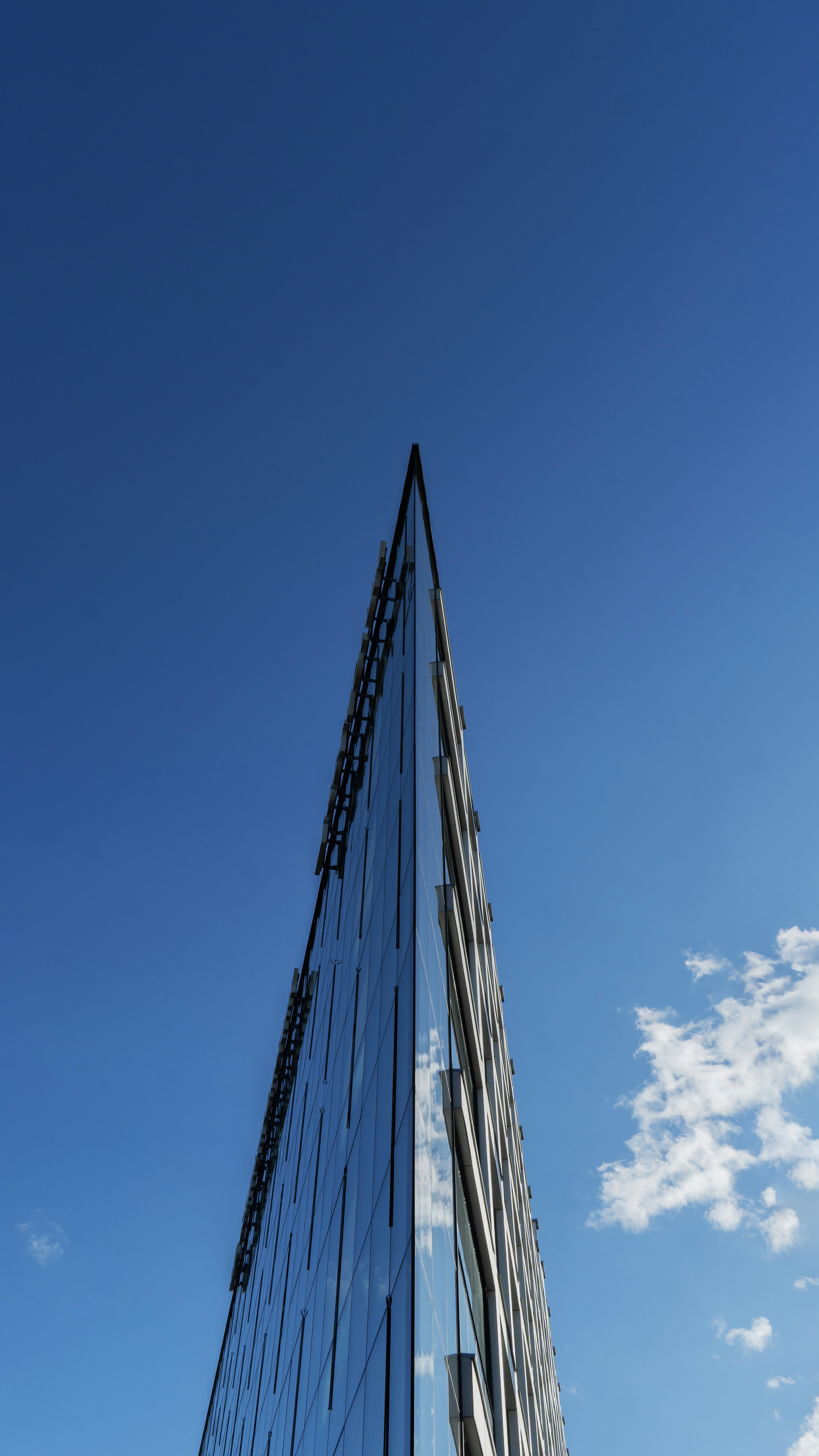 Vertical Elegance: A Modern Architectural Marvel