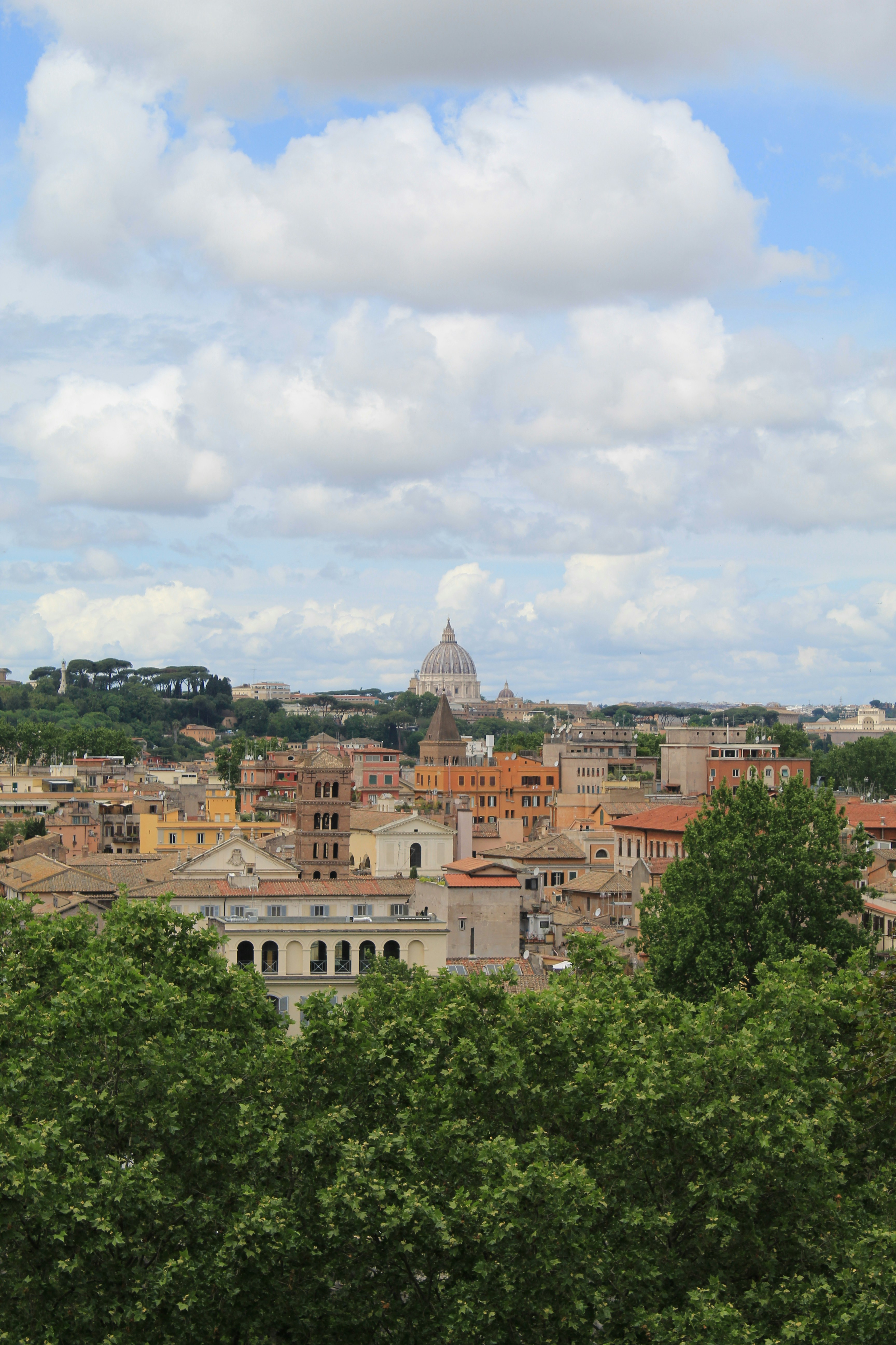 Photo by Amir Arsalan Shamsabadi with Canon EOS 4000D