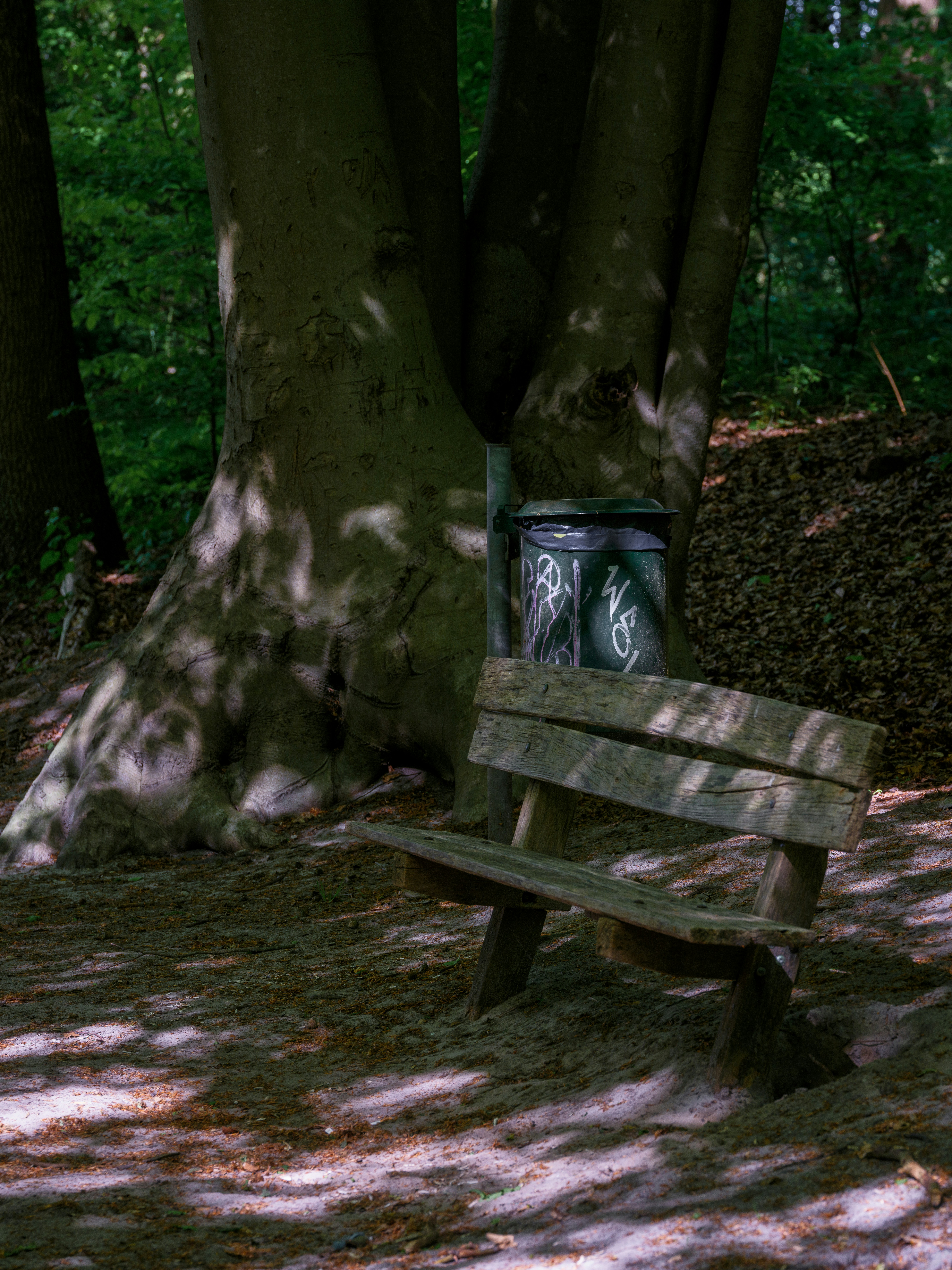 Whispers of Nature's Refuge