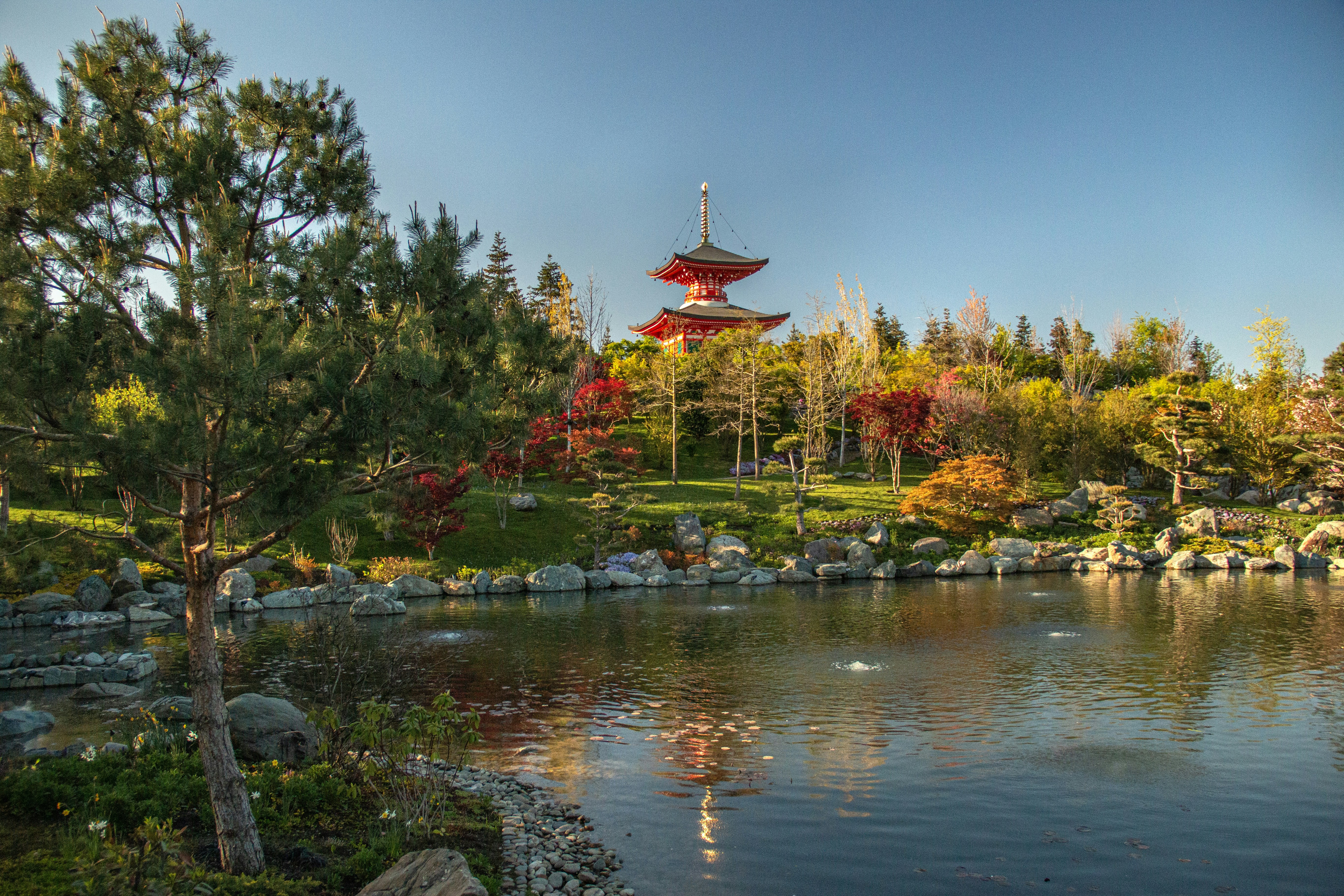 Photo by Stepan Konev with Canon EOS 70D