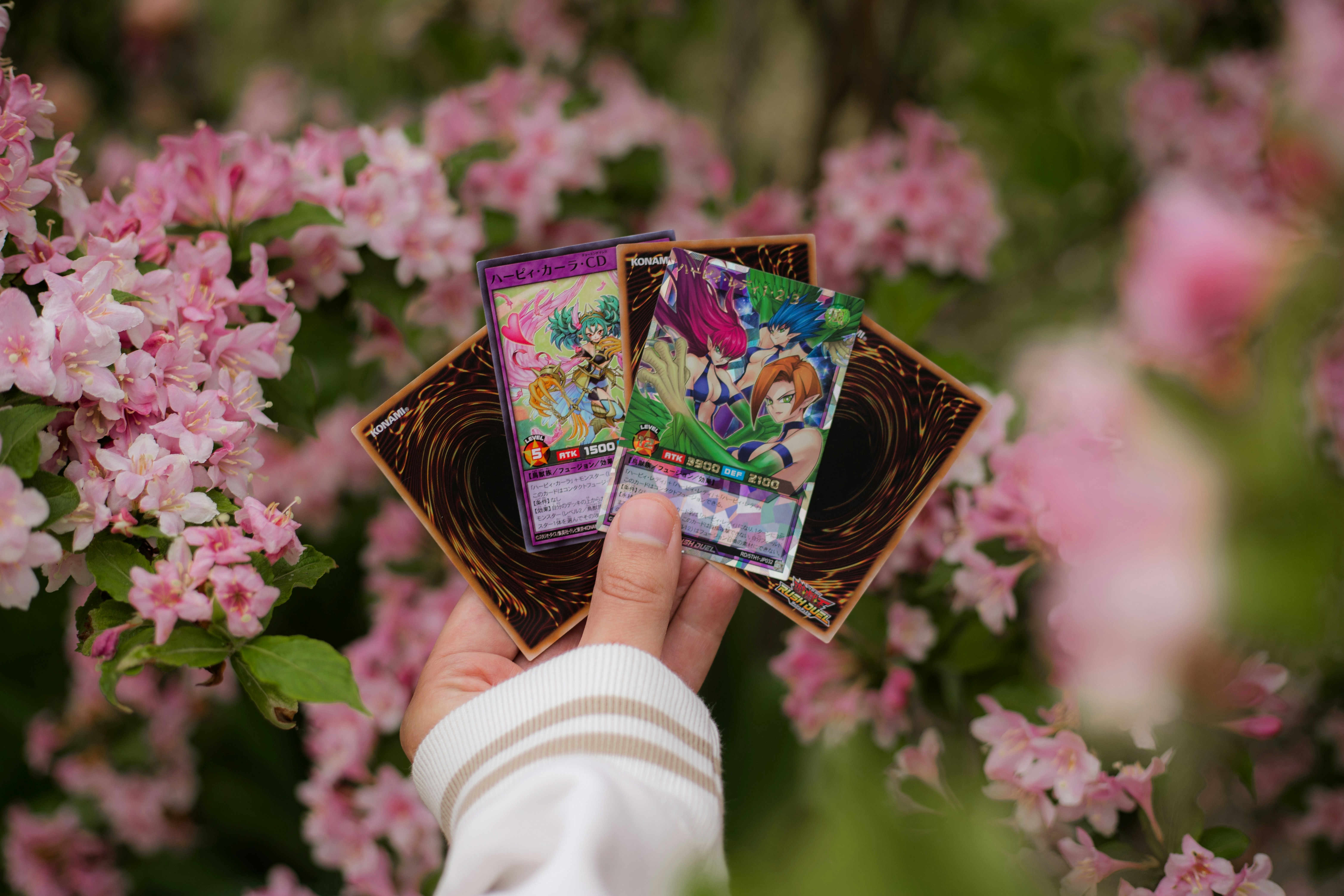 Petal-Soft Focus: Three Cards Framed by Pink Blooms