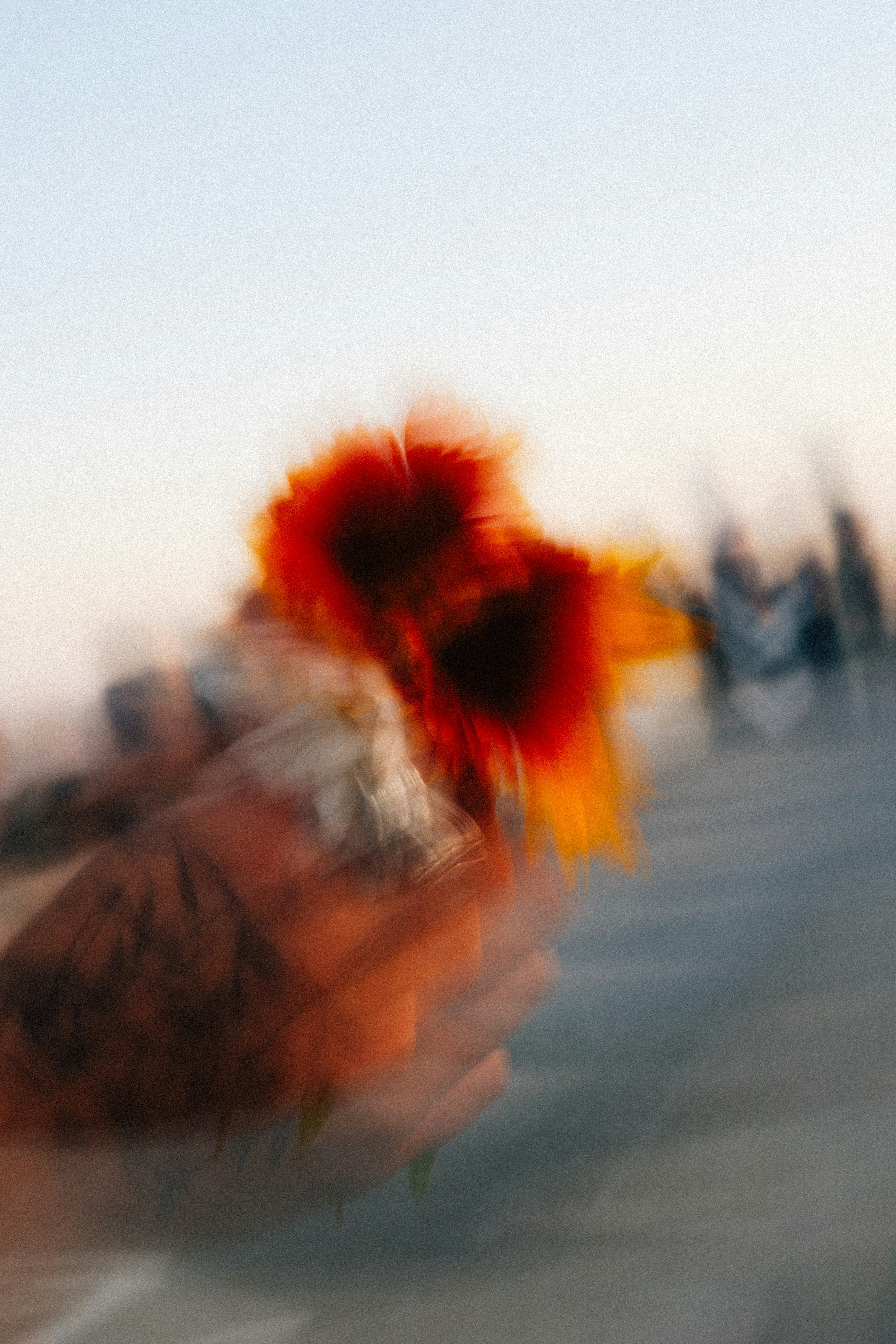 Dusk Bloom in Transit: A Motion-Blur Portrait of Sunflowers