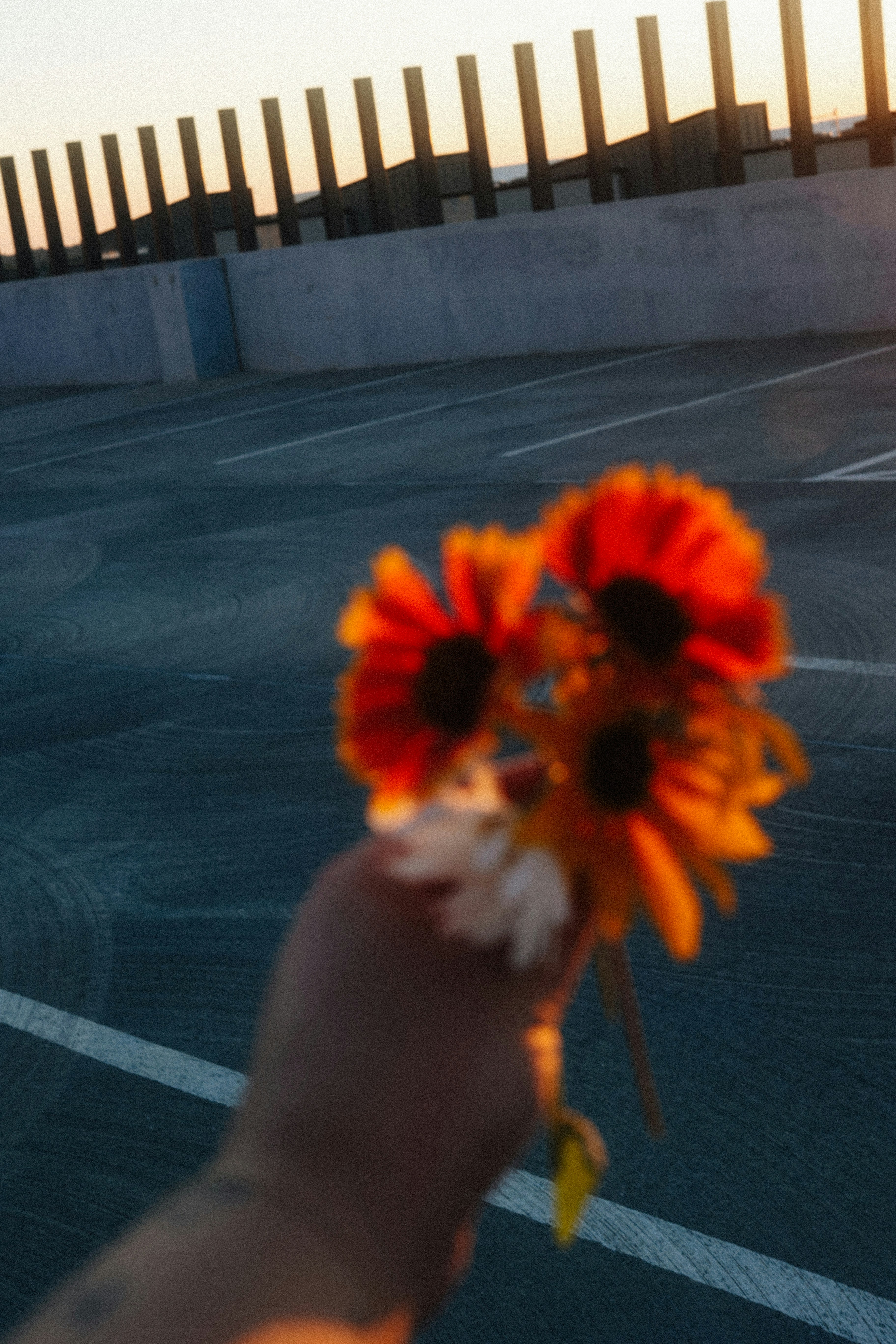 Sunset Bouquet Blur: Fire-Orange Blooms in a Rooftop Parking Lot