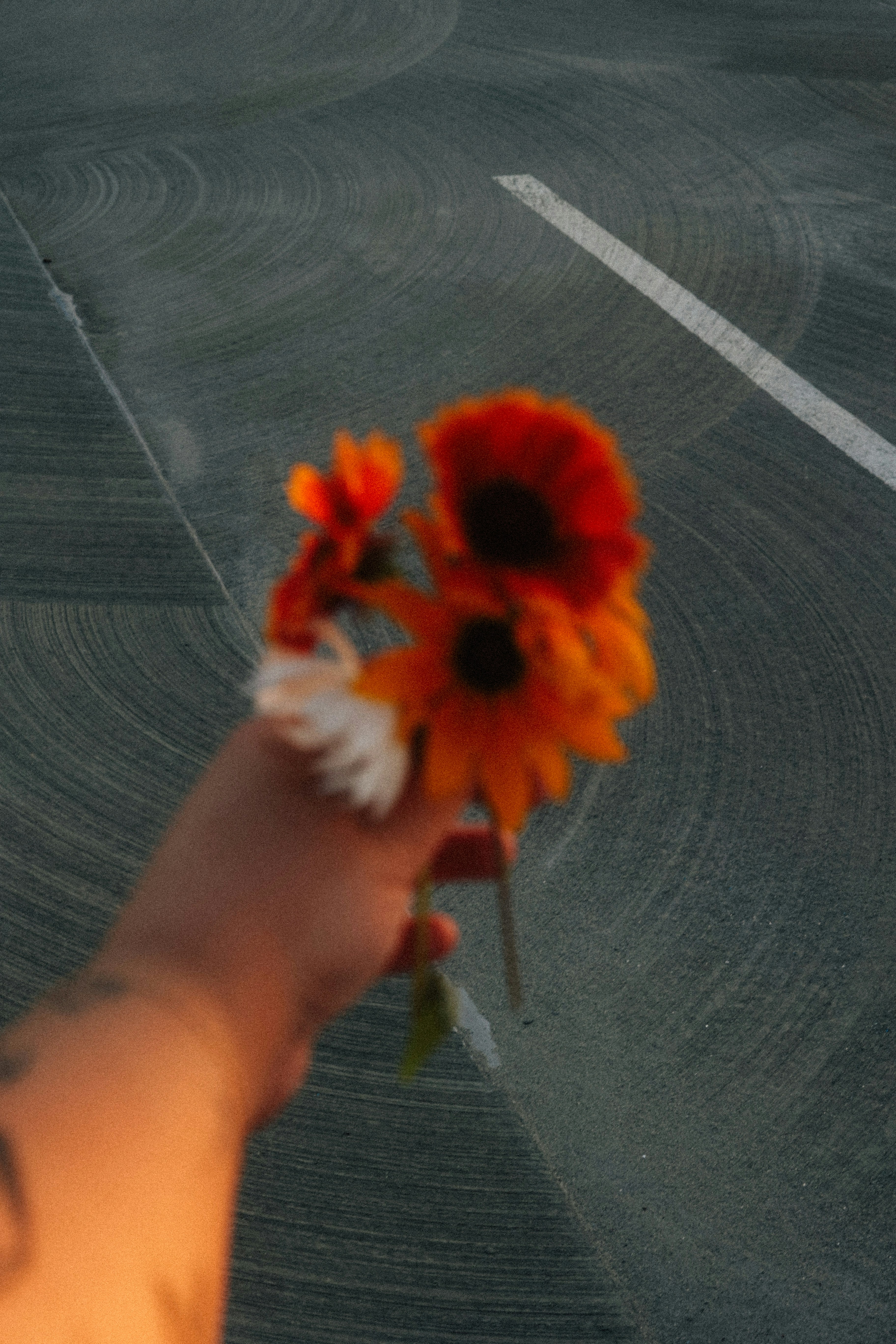 Blossoms in Motion: A Blurred Handfull of Fire