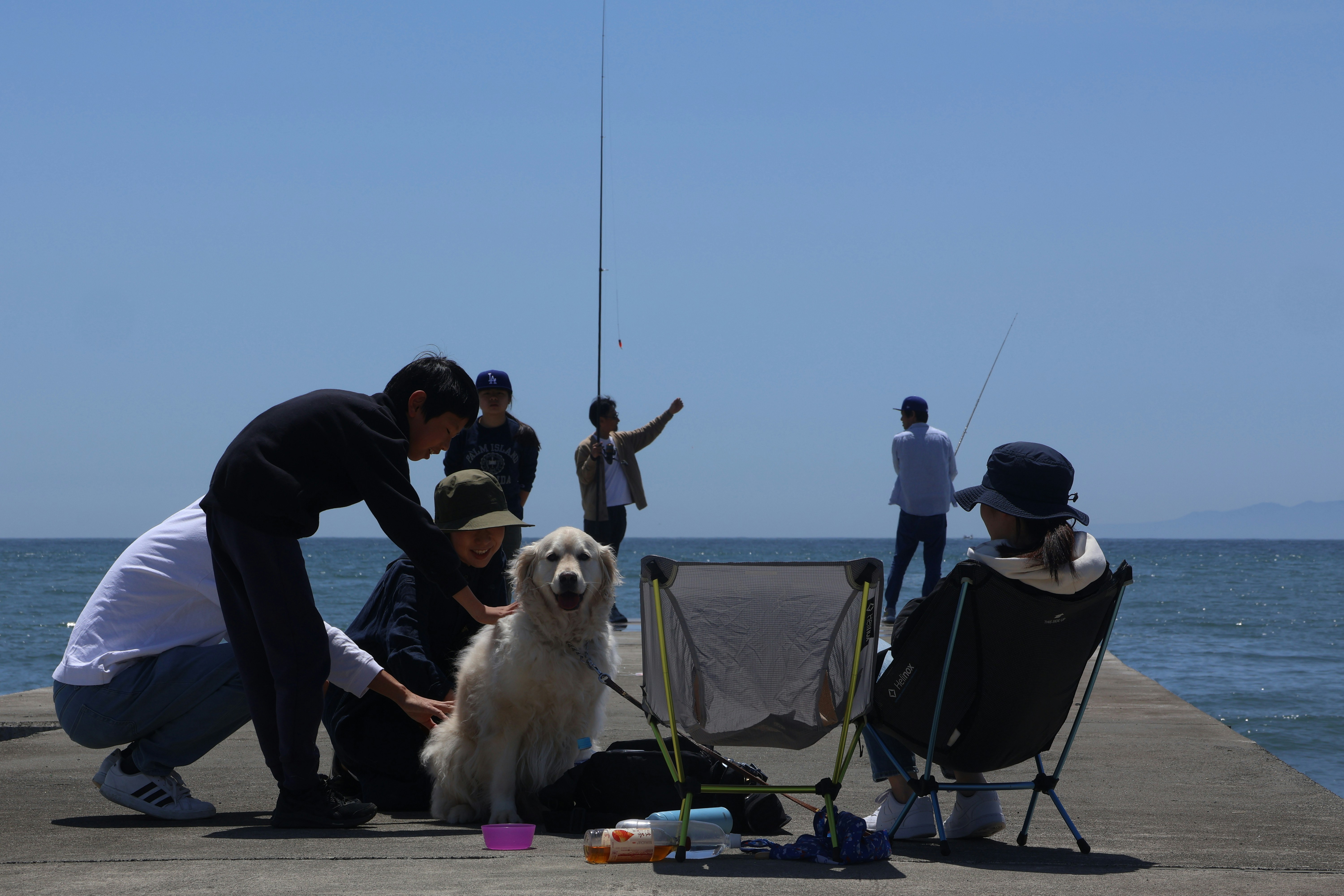 a golden retriever attracts petting from visitors to the beach