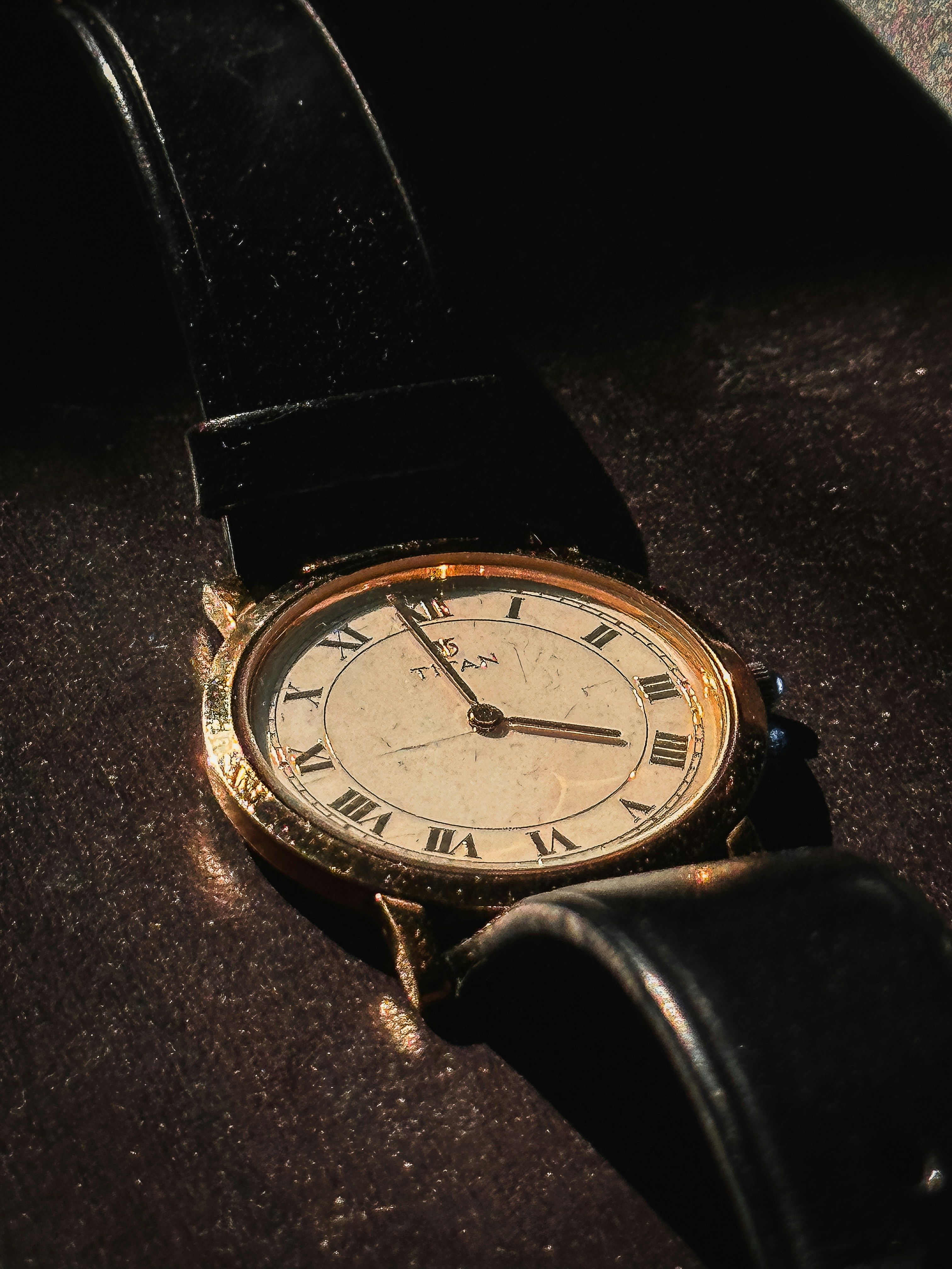 Timeless Elegance: A Golden Moment