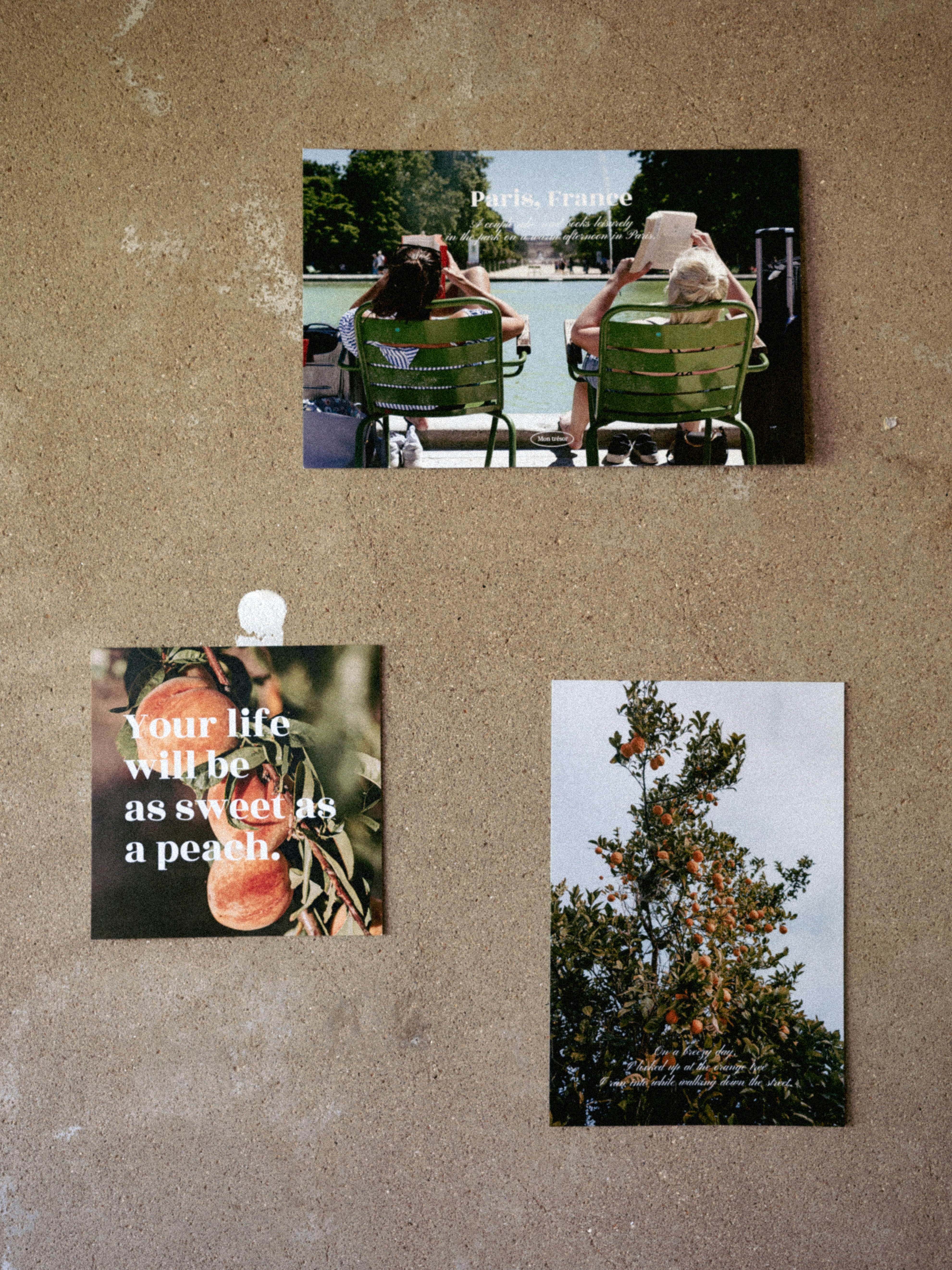 Three postcards are attached to a wall. photo – Free Vintage Image on ...