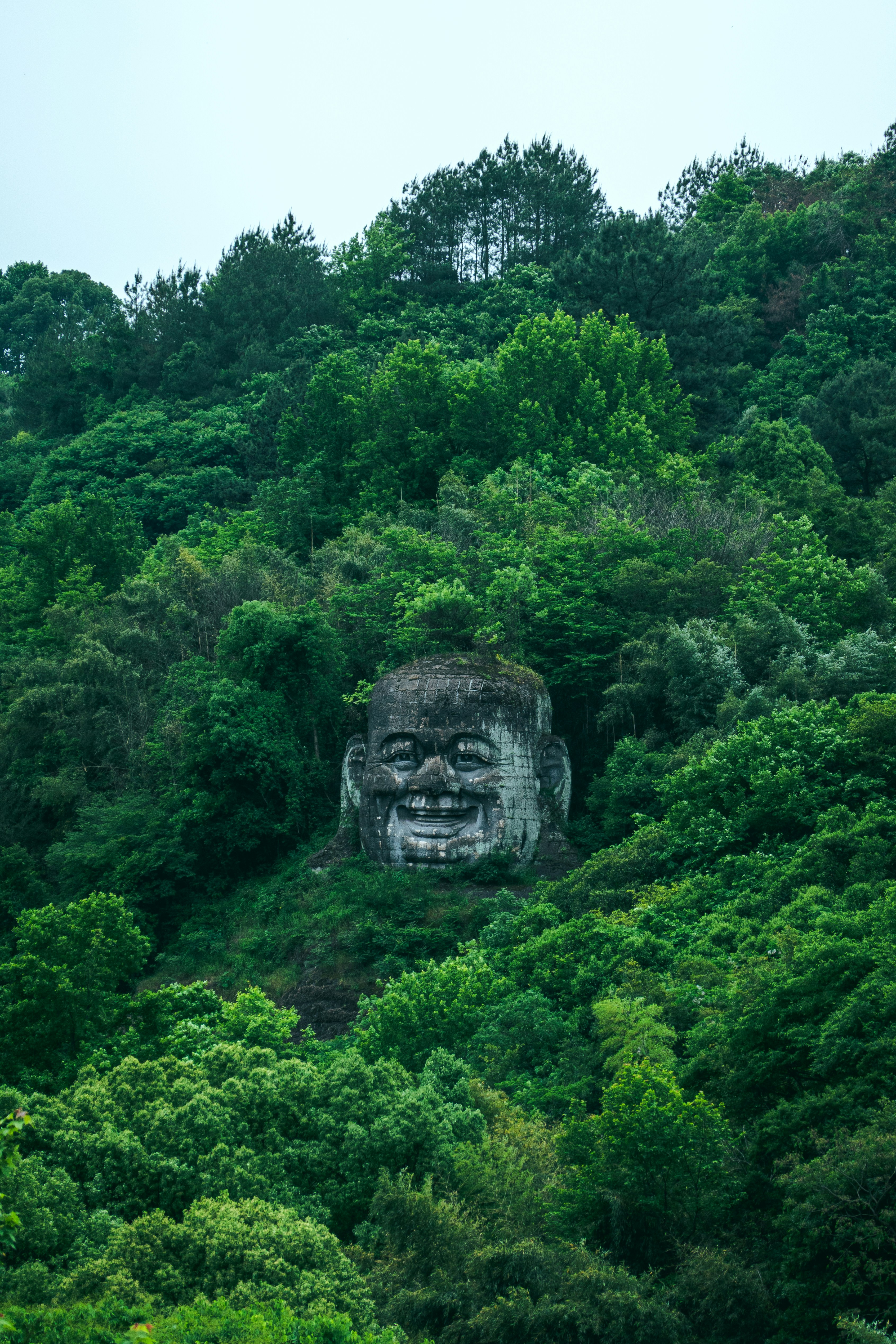 Verdant Sentinel: The Grinning Stone Face Hidden in the Hills