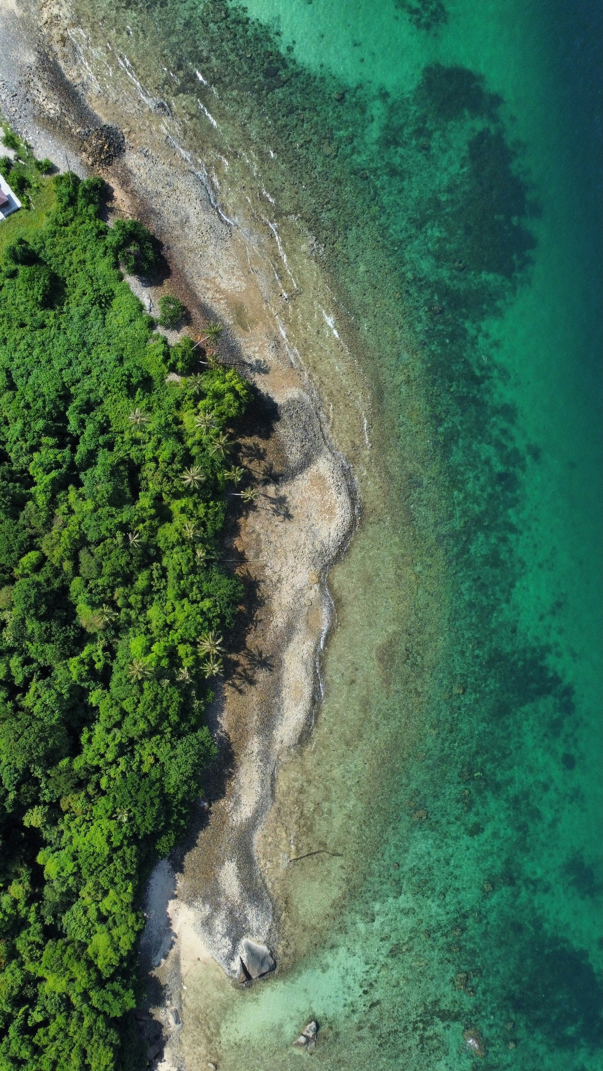 Lester (@leslie_wong) | Communauté photos Unsplash