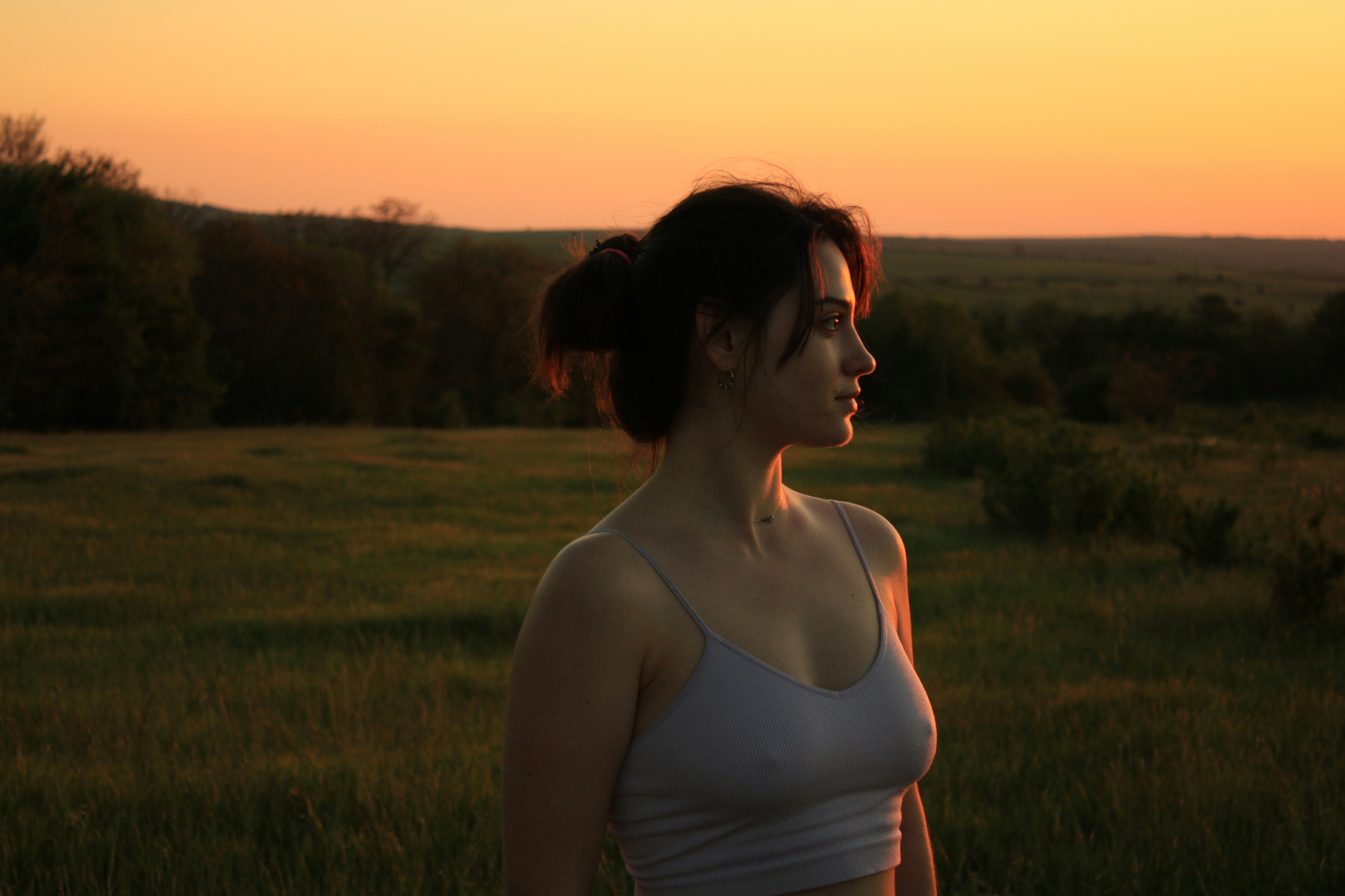 Whispers of Dusk: A Moment in Time