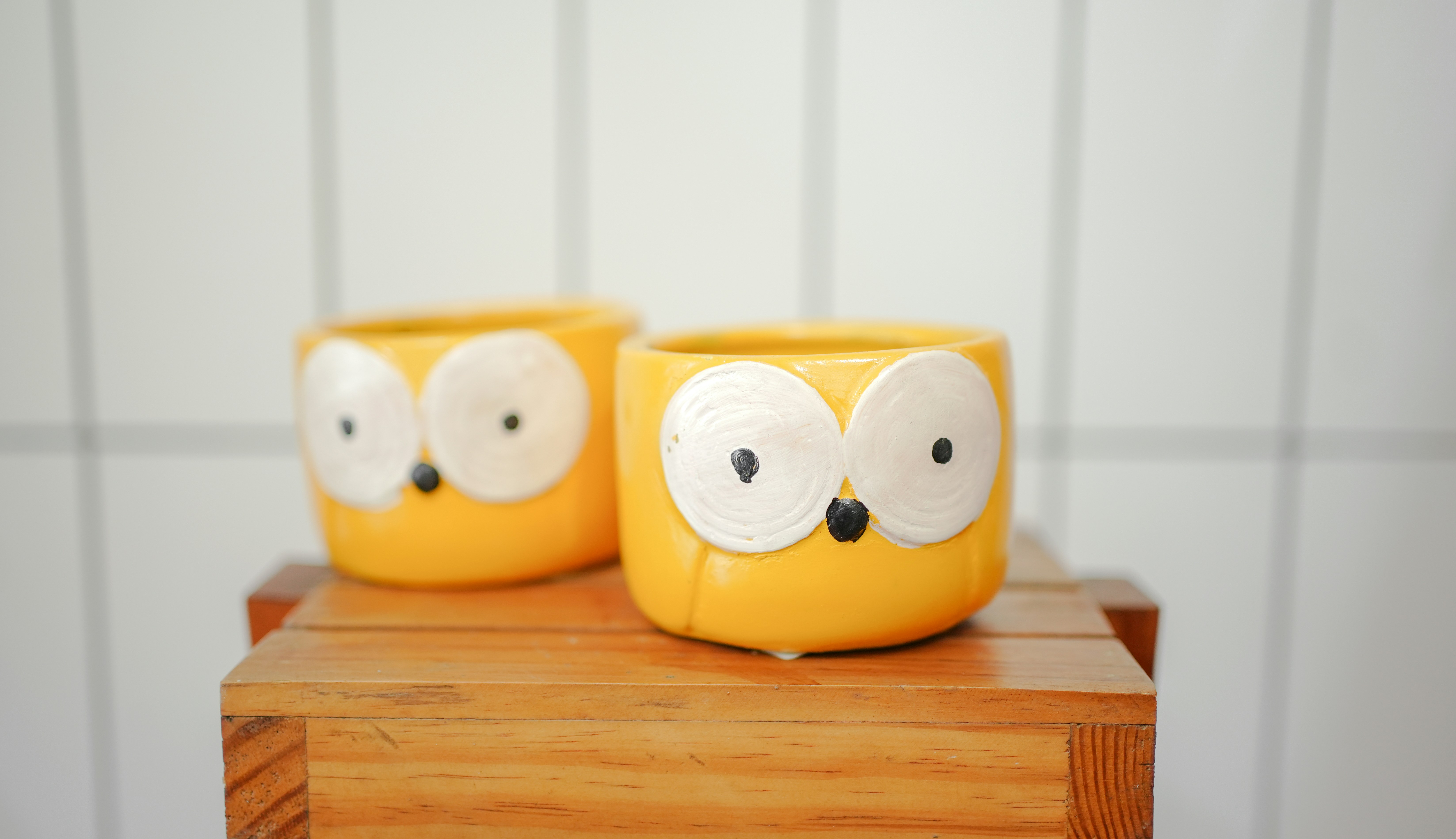 Two Owl-Man Cup Faces Rest on a Wooden Platform