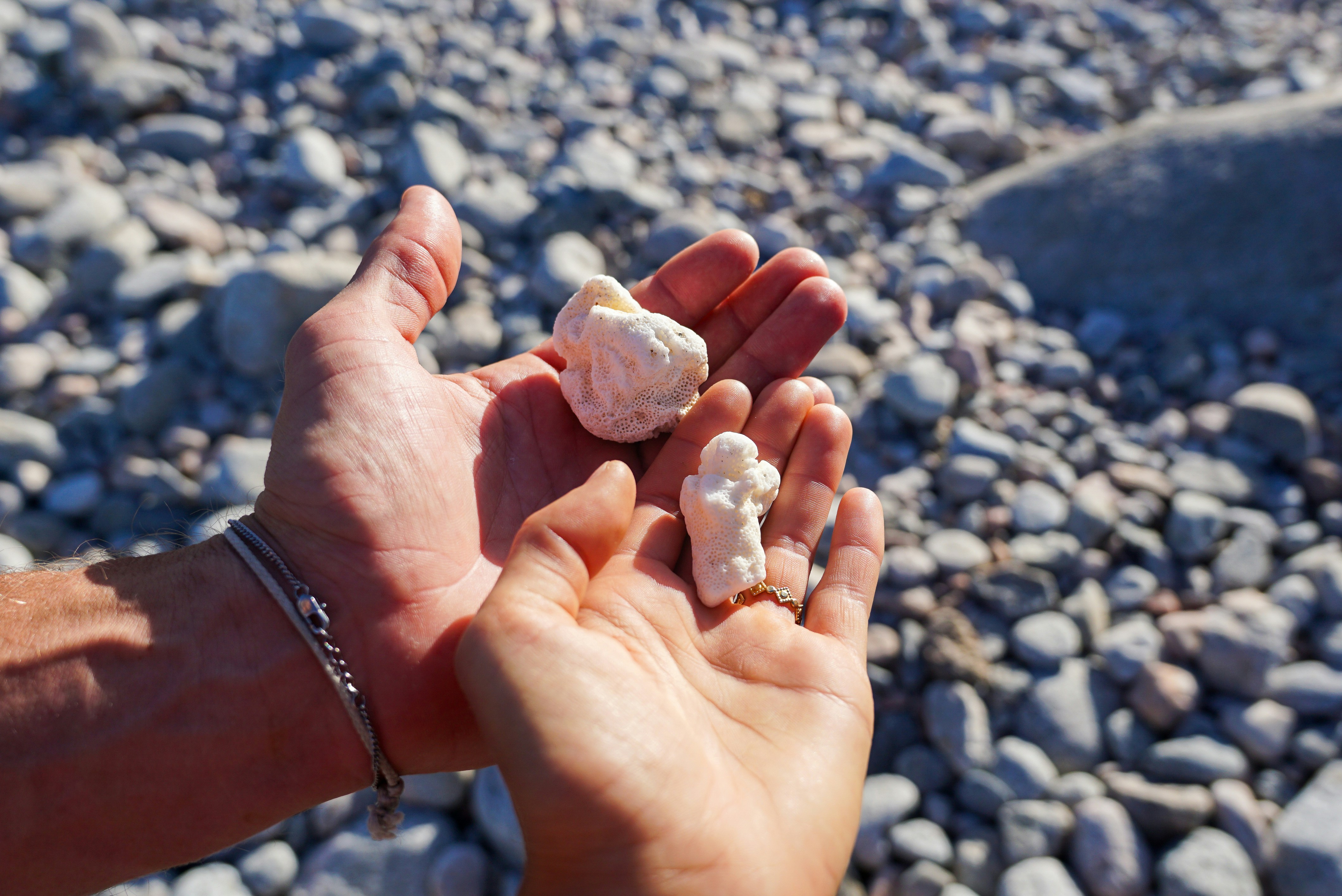 Palmful of Tide-Worn Pebbles