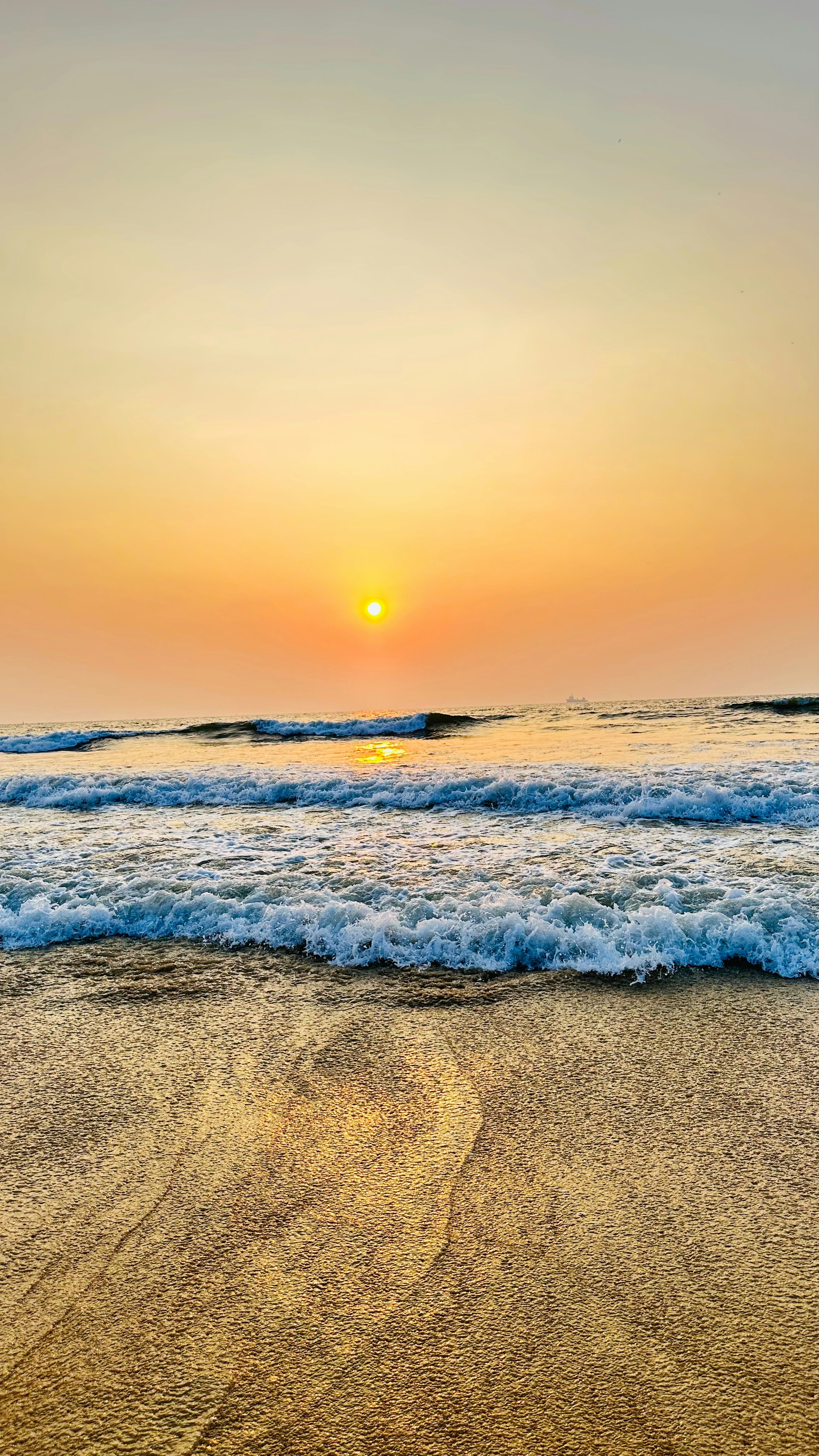 Aditya Chittella (@chittella) | Unsplashフォトコミュニティ