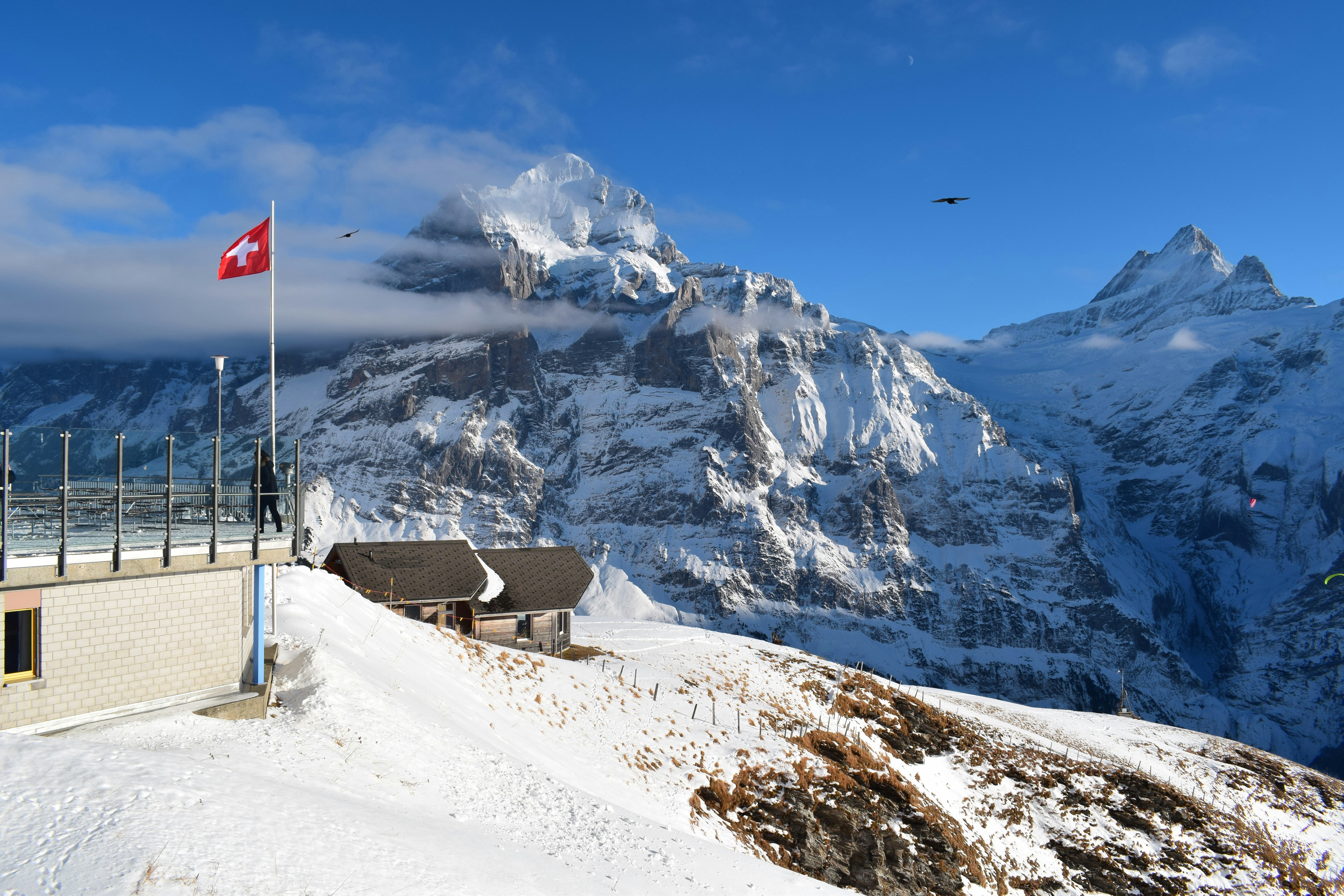 Alpine Serenity: A Winter's Embrace