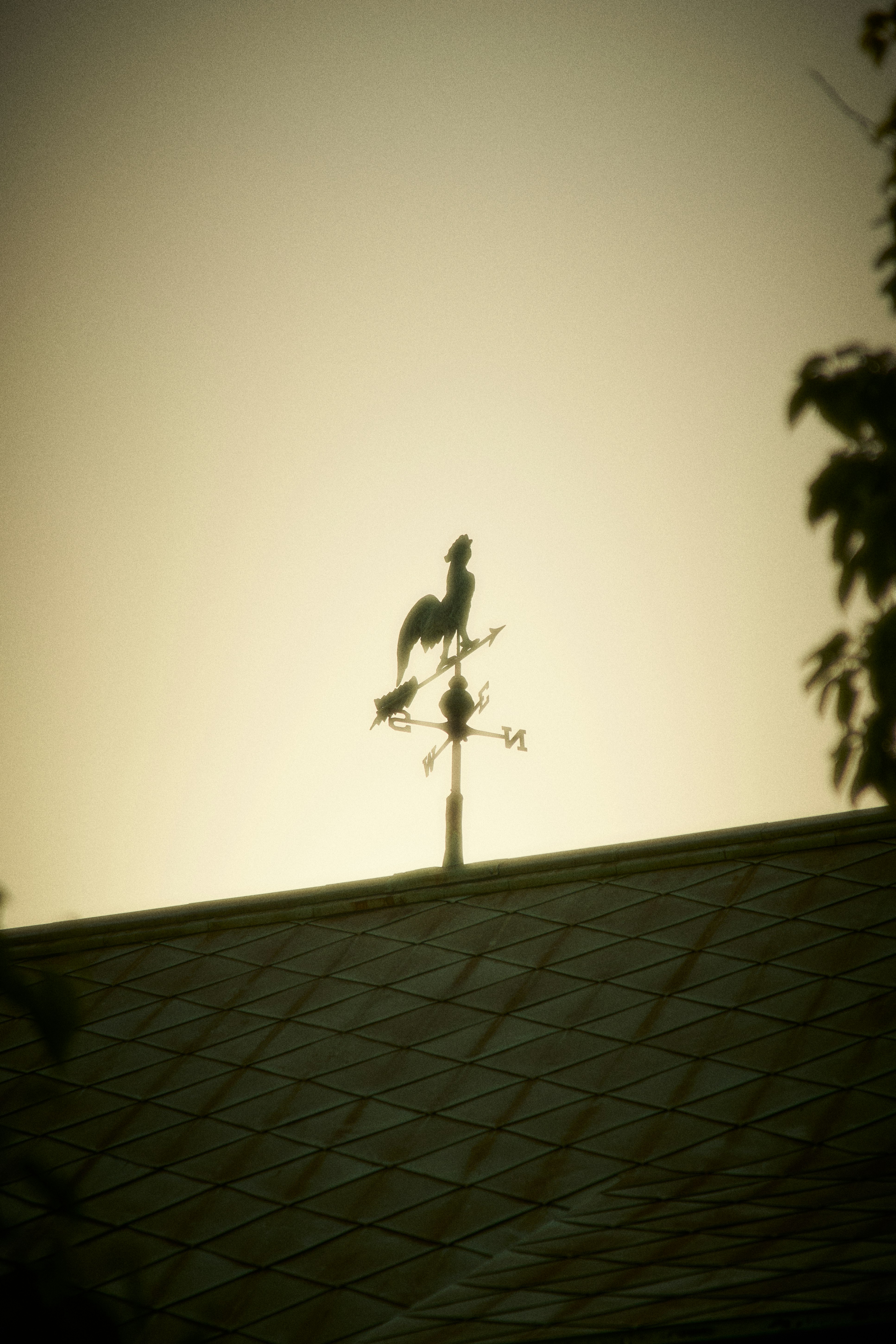 Photo by Buddy AN with Sony Alpha 7R V