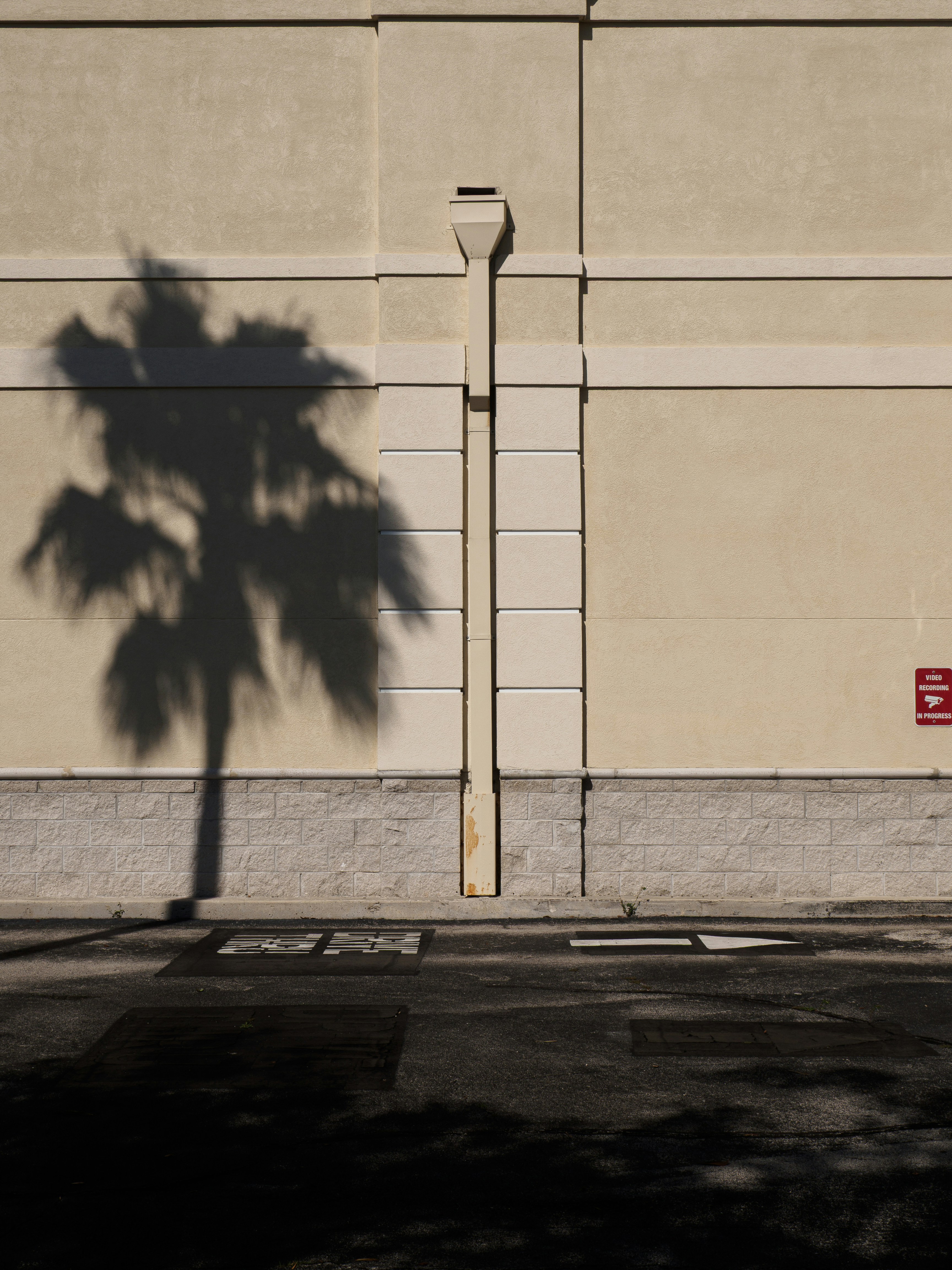 Palm tree shadow.