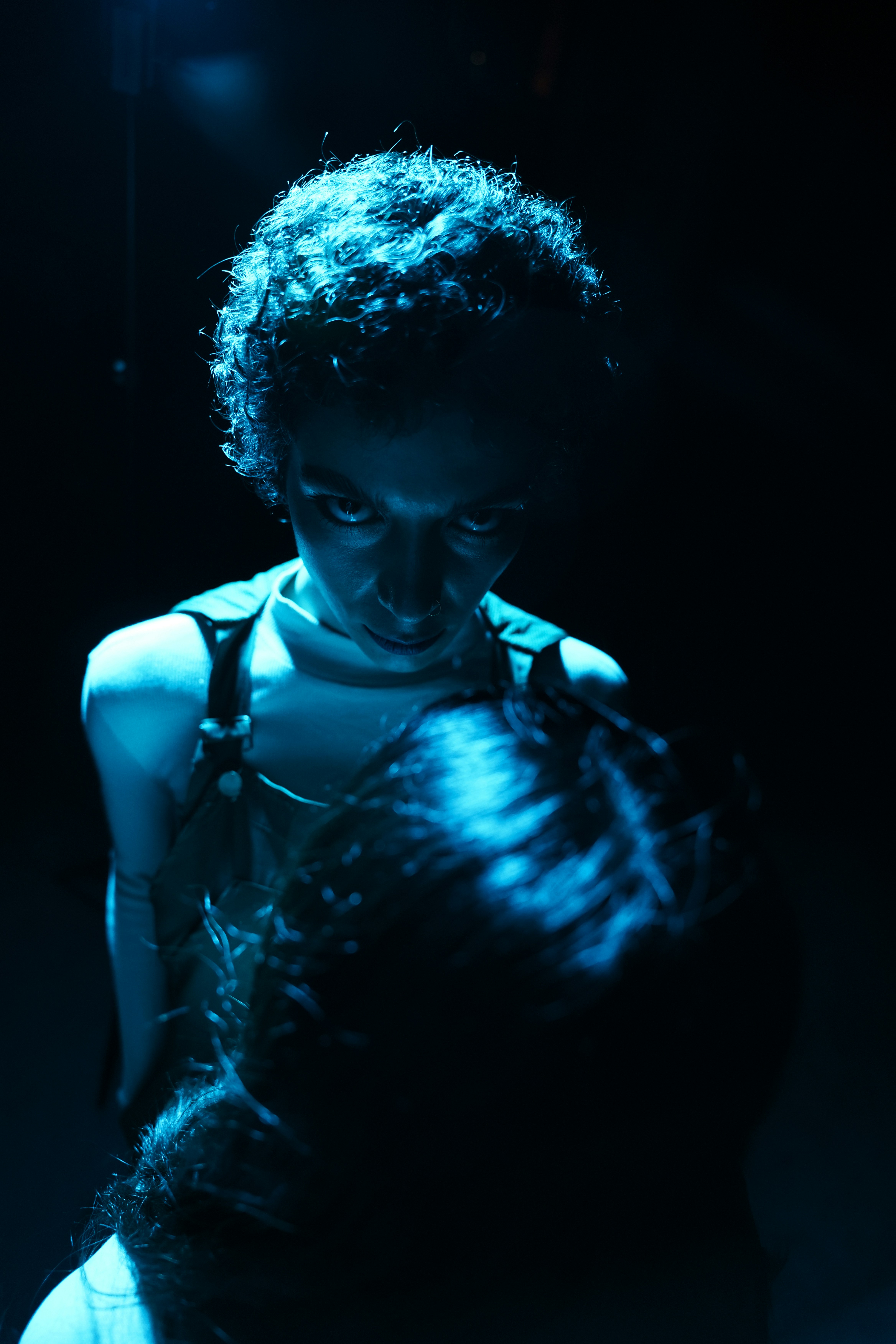 Whispers in the Shadows