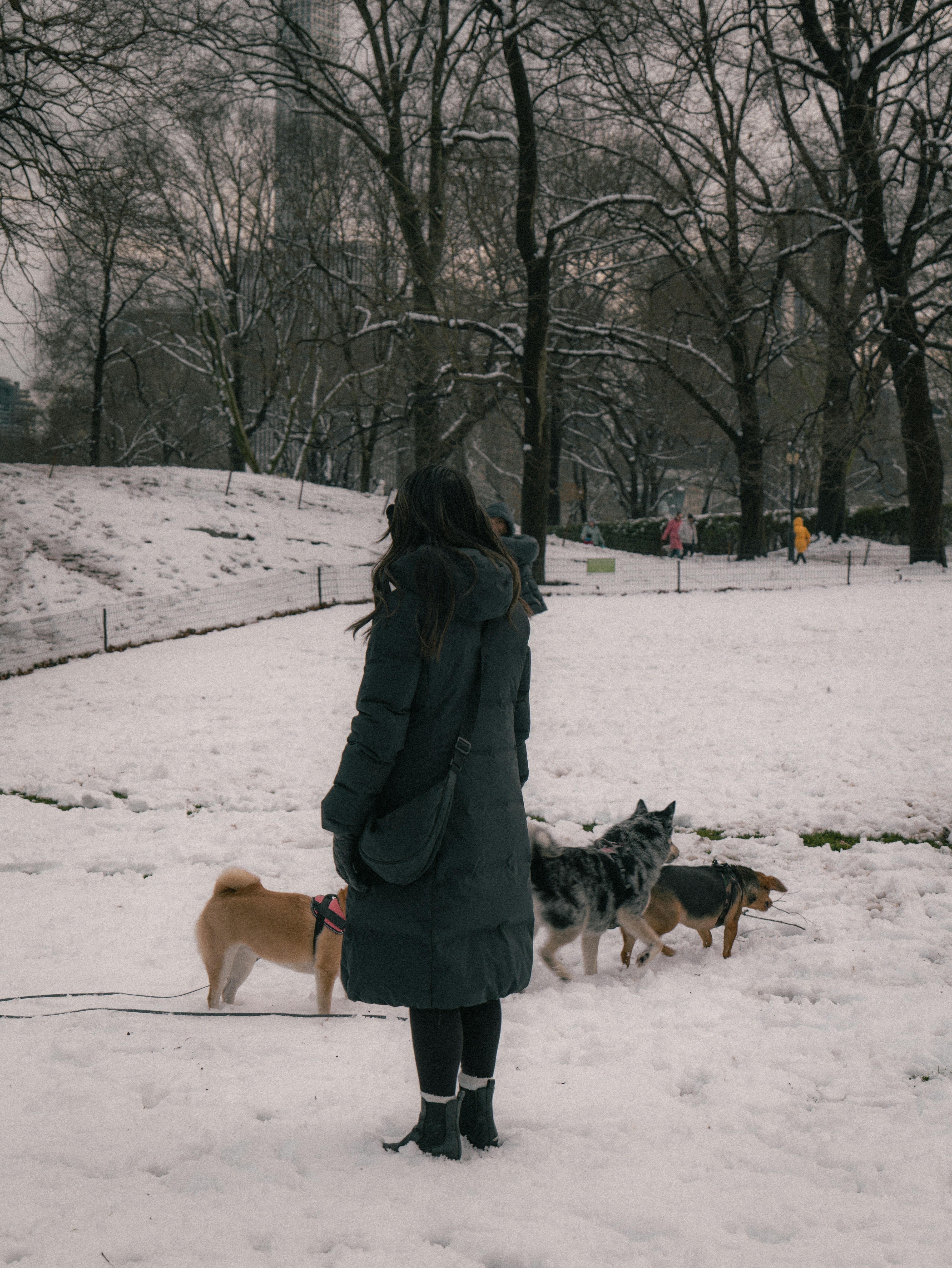 Gavin (@gavinn_l) | Comunidad de fotos de Unsplash