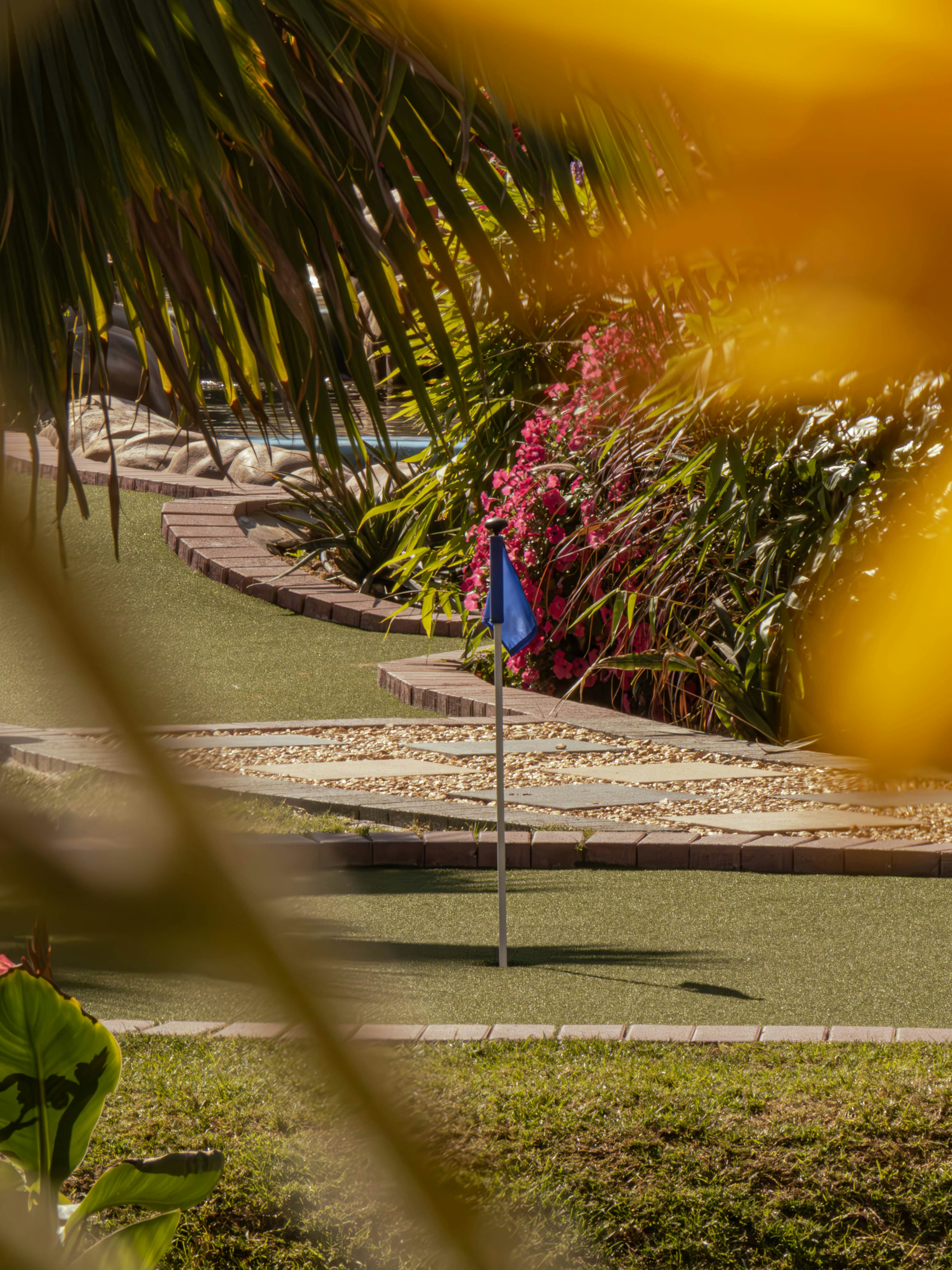 Miniature golf course with palm tree frame. photo – Free Aesthetic ...