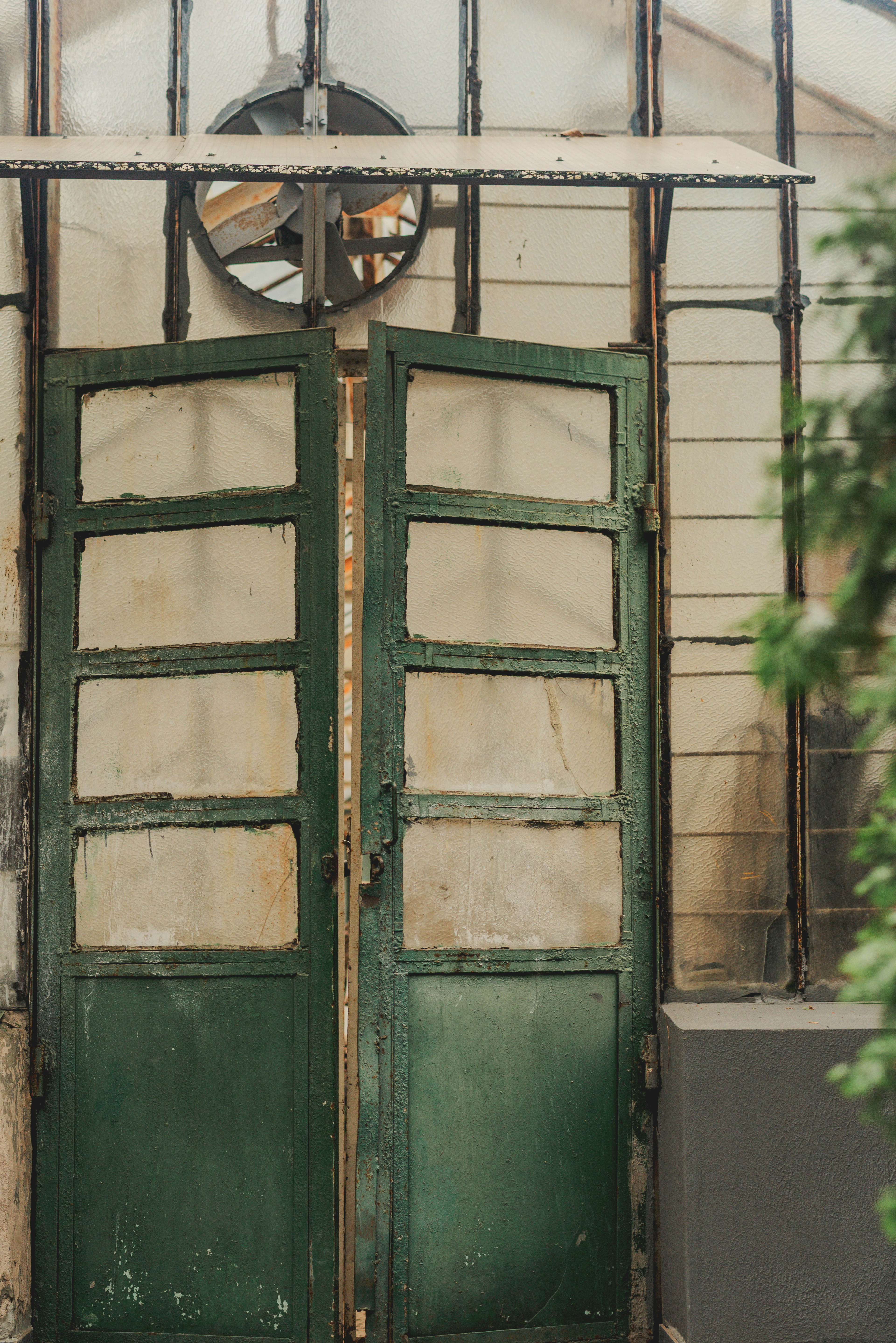 Weathered Green Doors: A Quiet Gate Amid Iron and Glass