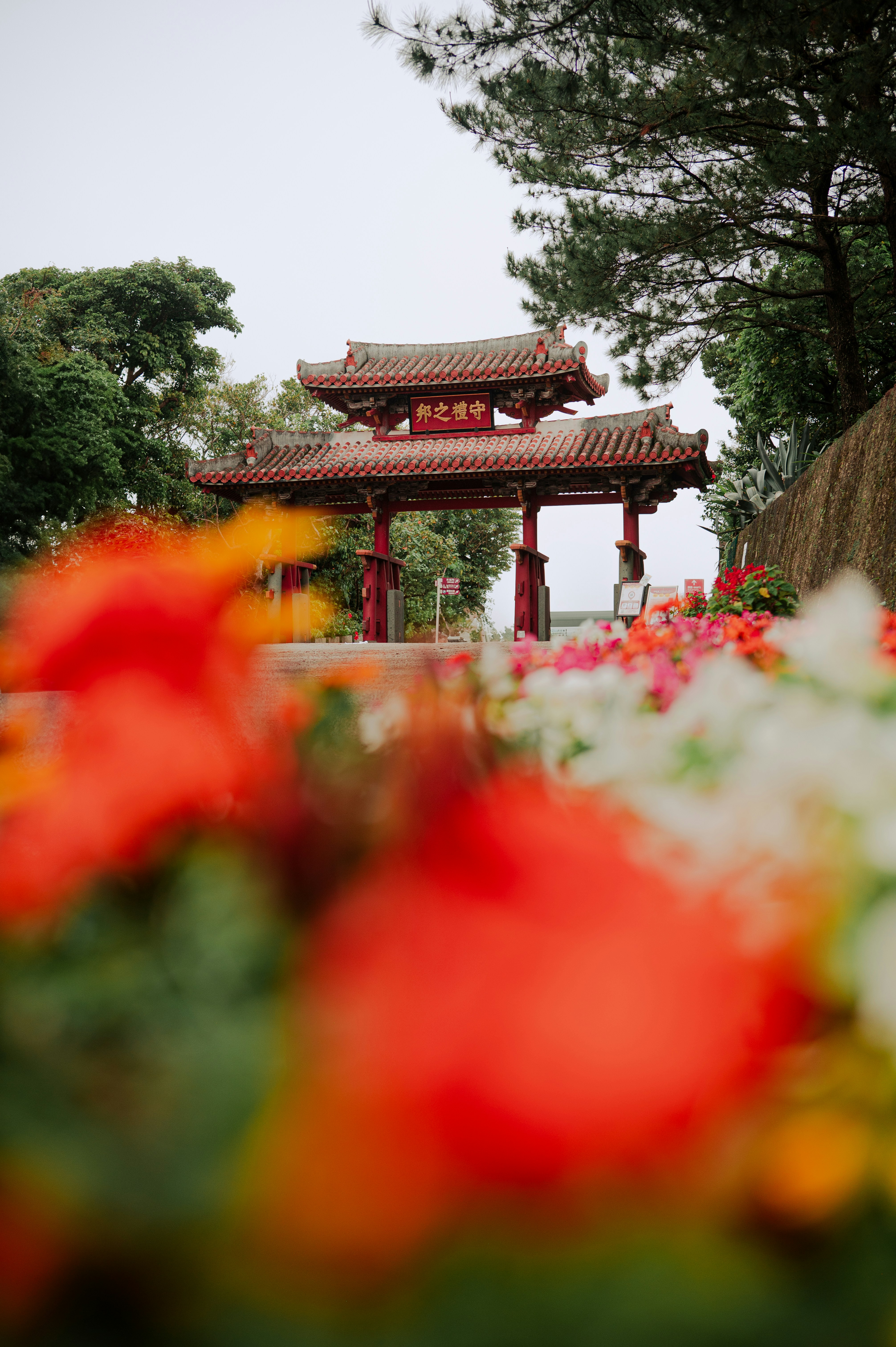 Flowers bloom in front of a traditional gate. photo – Free Flower Image on Unsplash