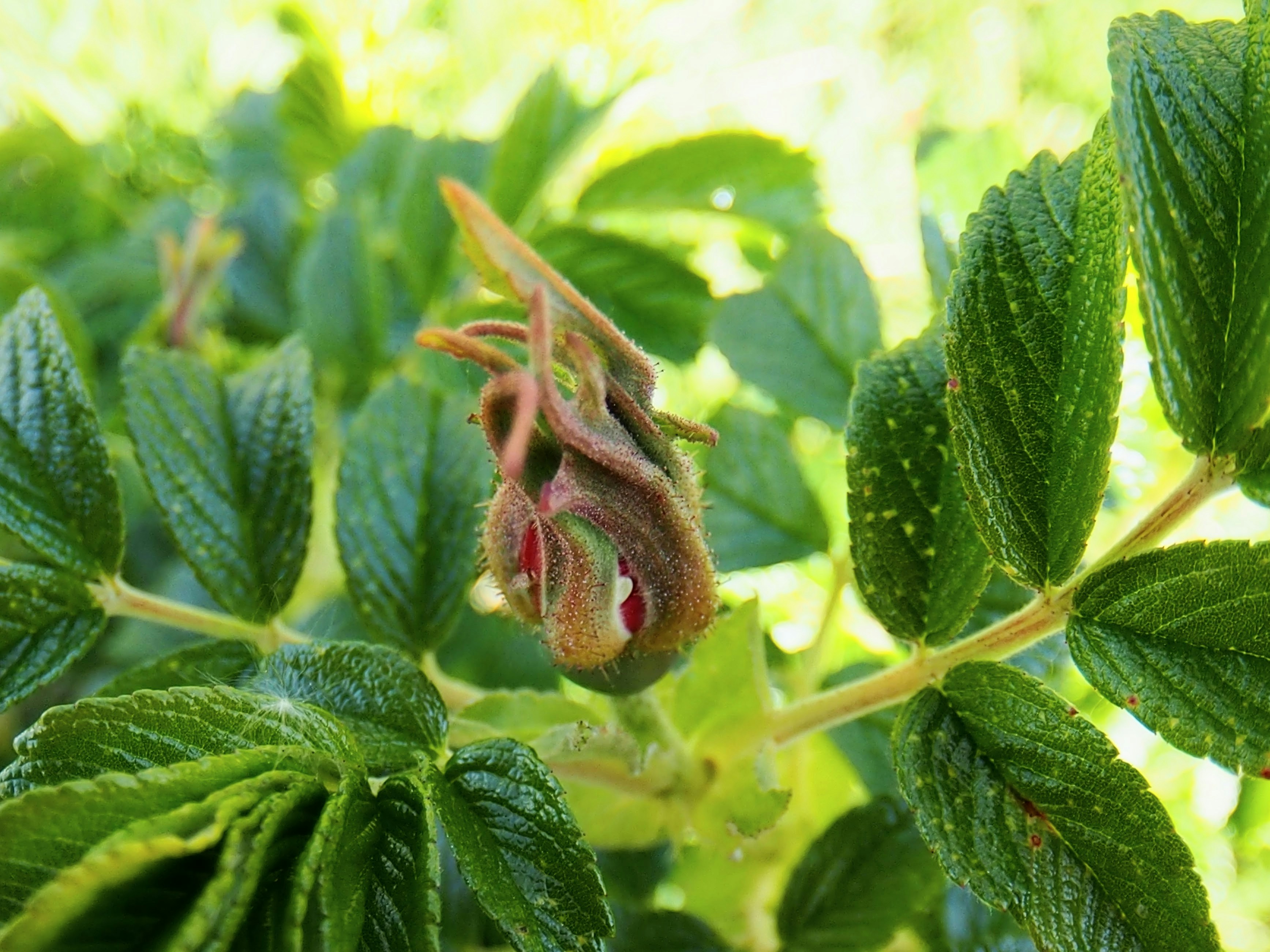 Sample photo from Olympus E-P5