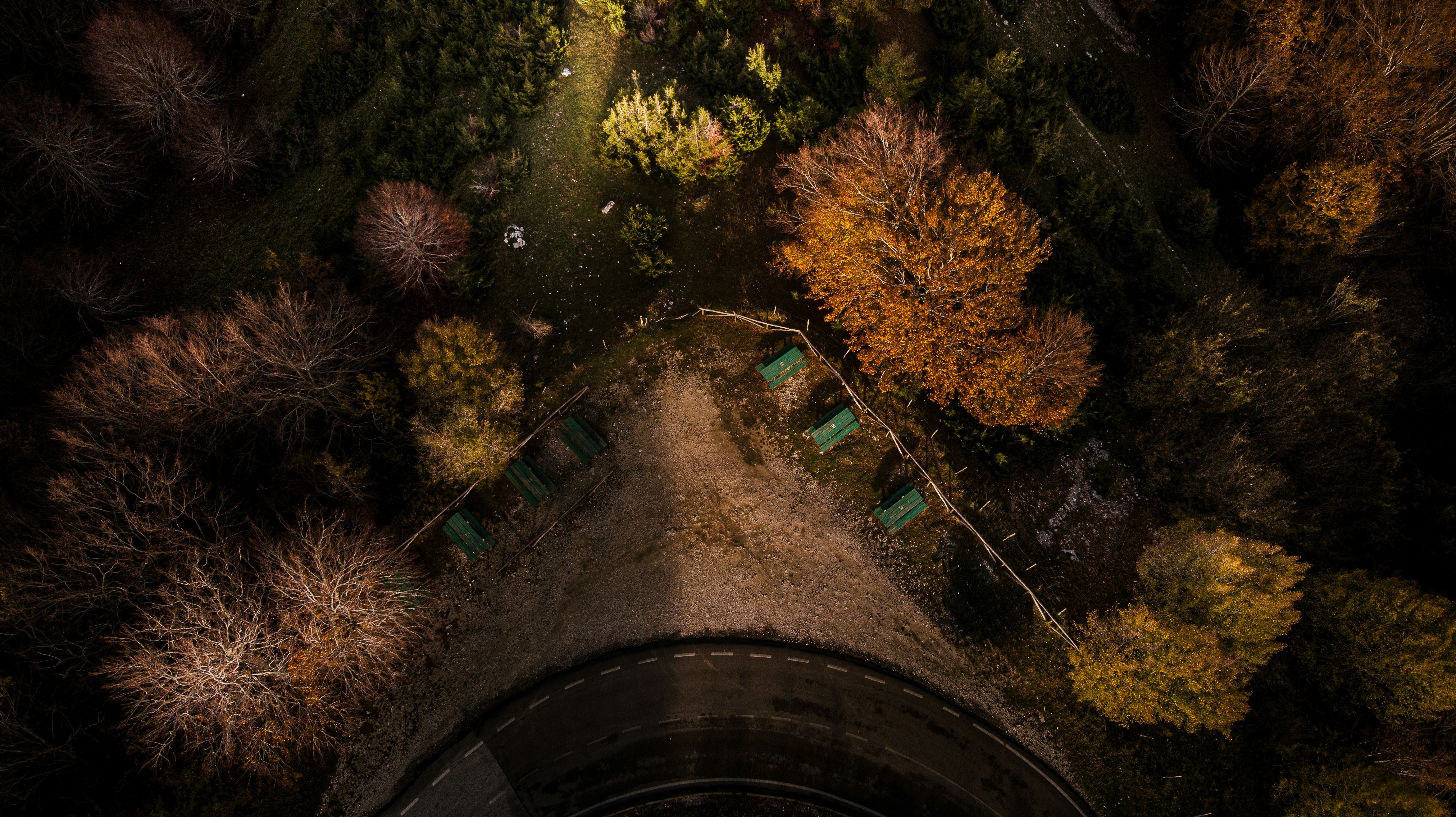 Autumn's Embrace: Aerial Symphony of Nature