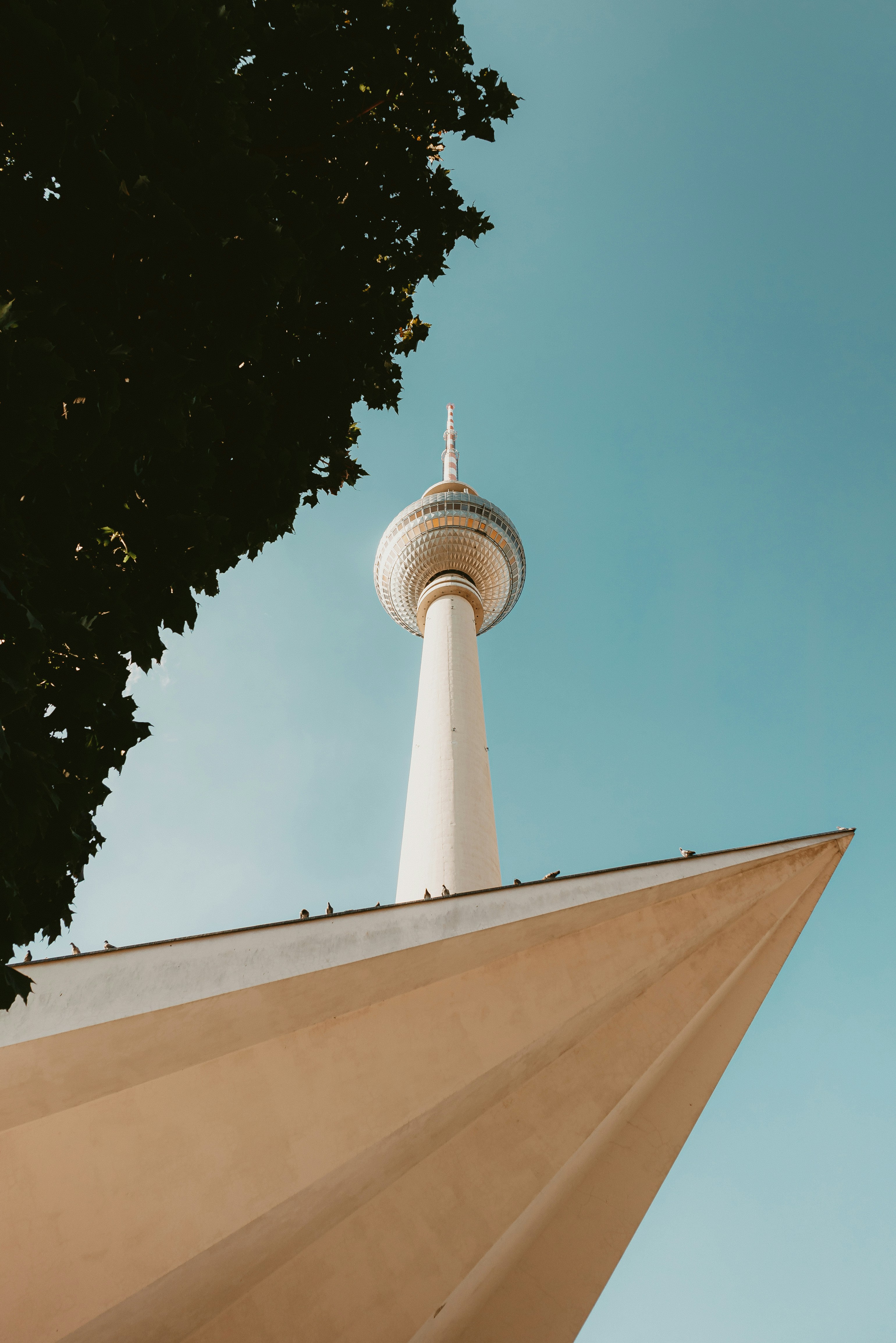 Modern architectural structure with a prominent tower rising against a clear blue sky, framed by lush greenery.