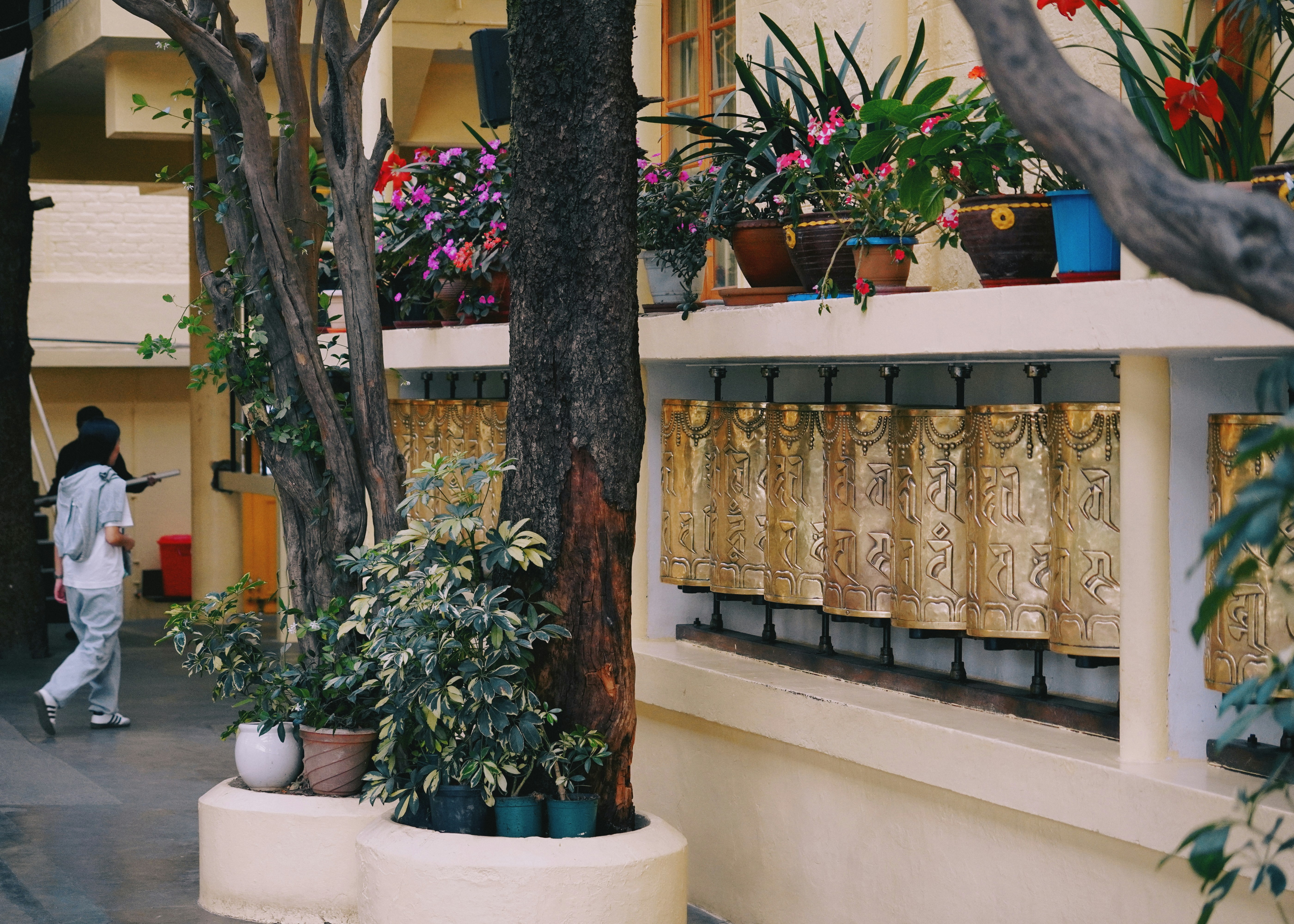 Foto Halaman dengan tanaman dan roda doa. – Gambar India Gratis di Unsplash