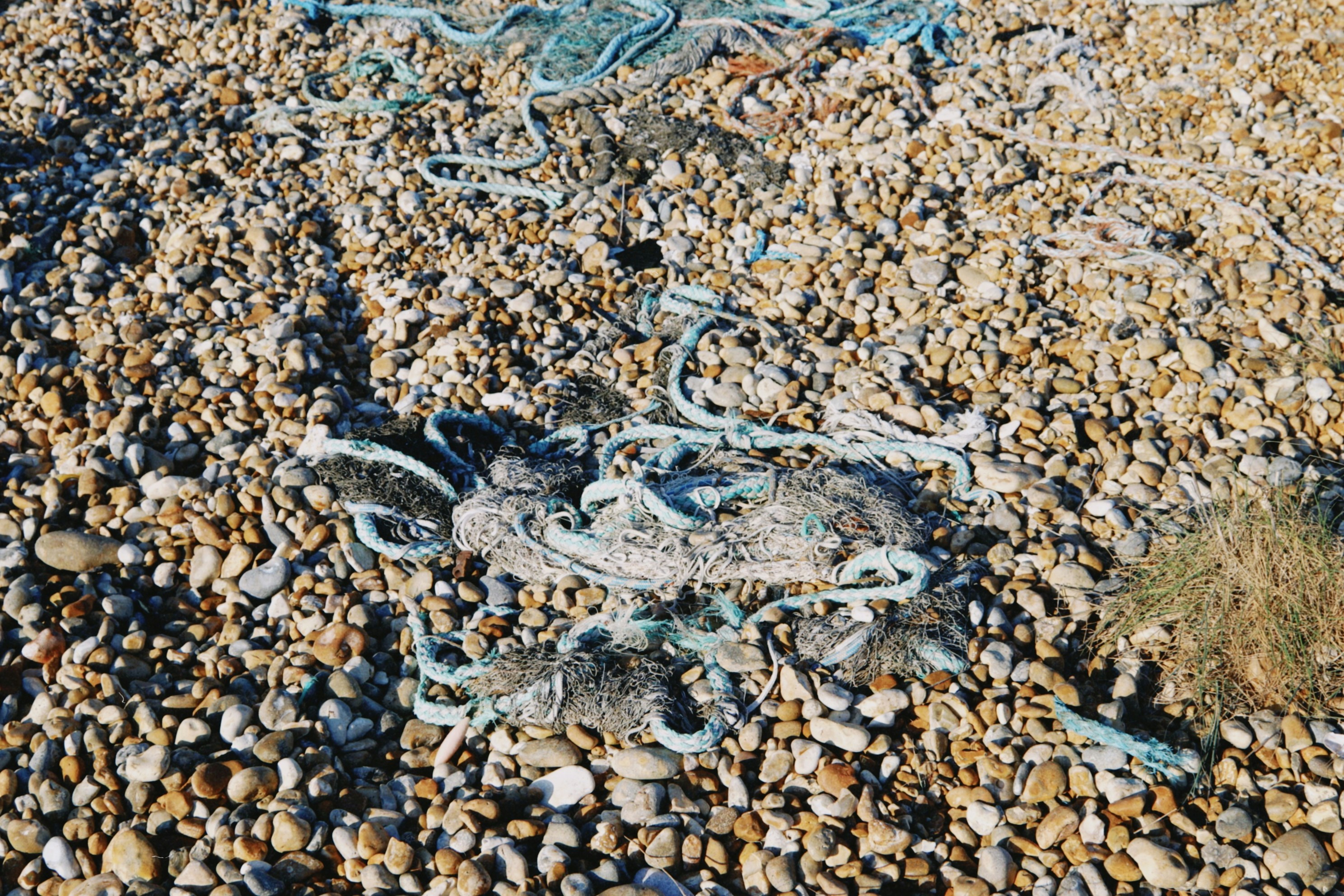 Tangled Blue Rope and Crabs on a Pebble Beach