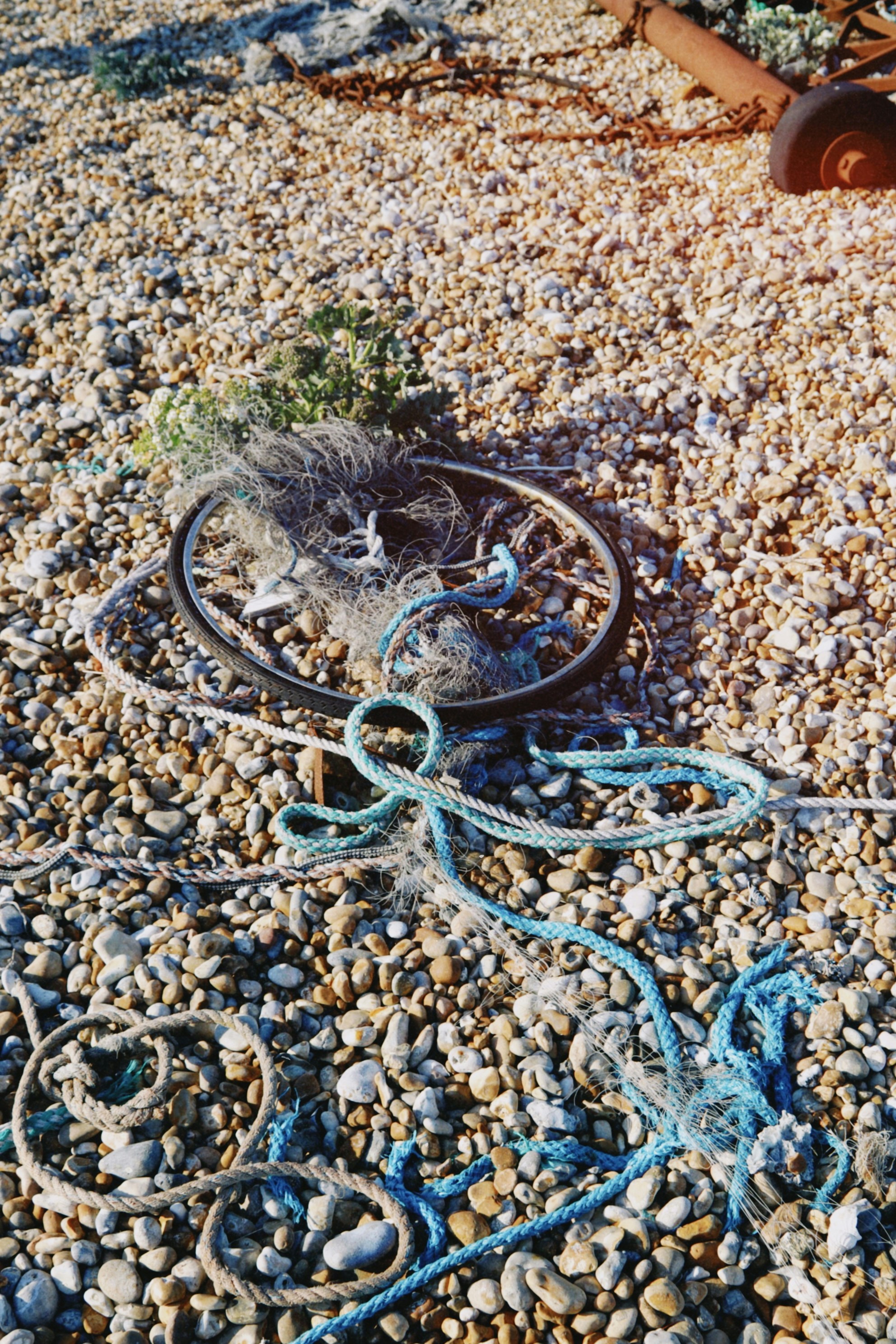 Tidal Tangle: Blue Rope Chains Across a Pebble Beach