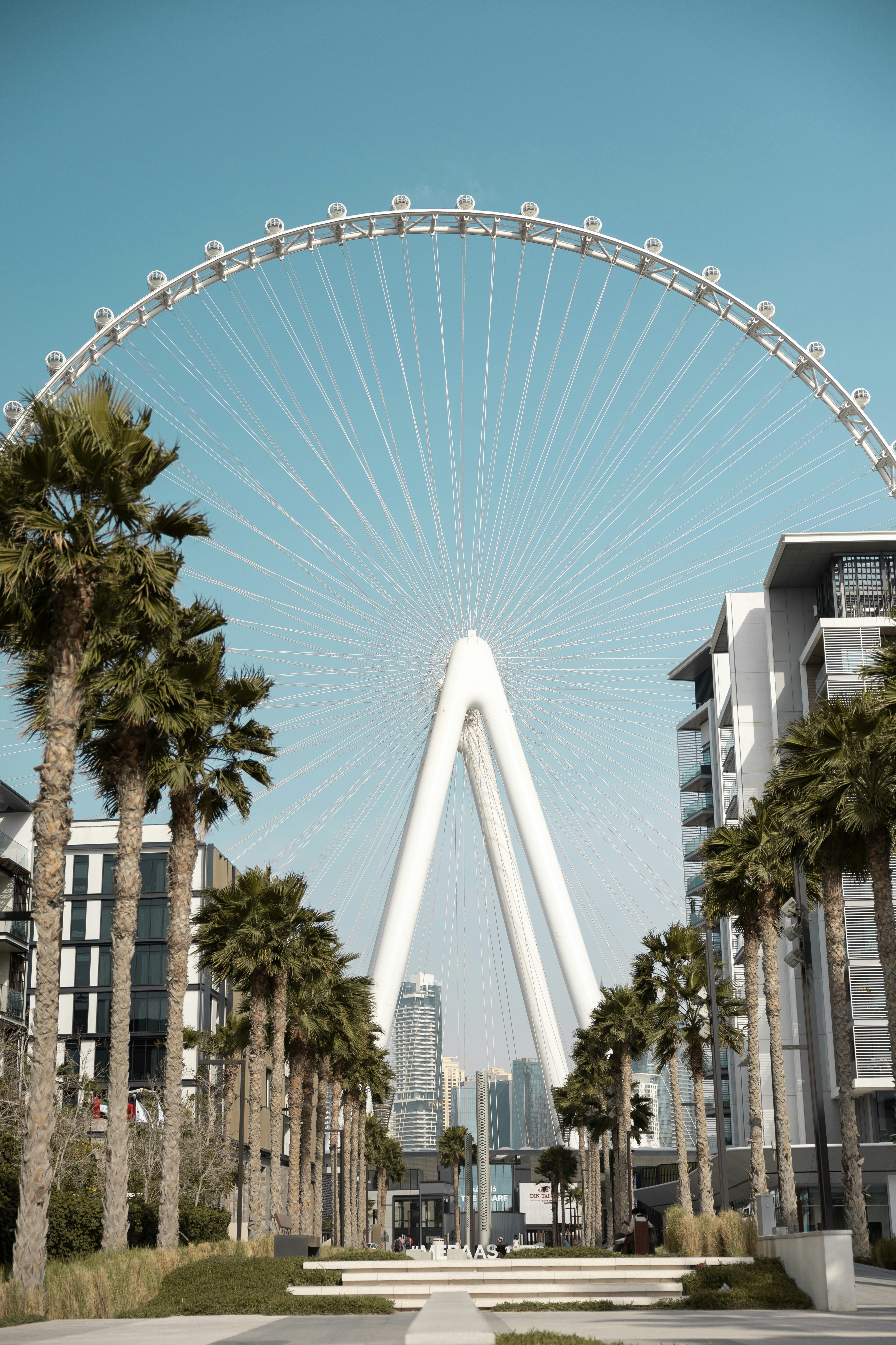 The ain dubai ferris wheel towers over buildings. photo – Free Building ...