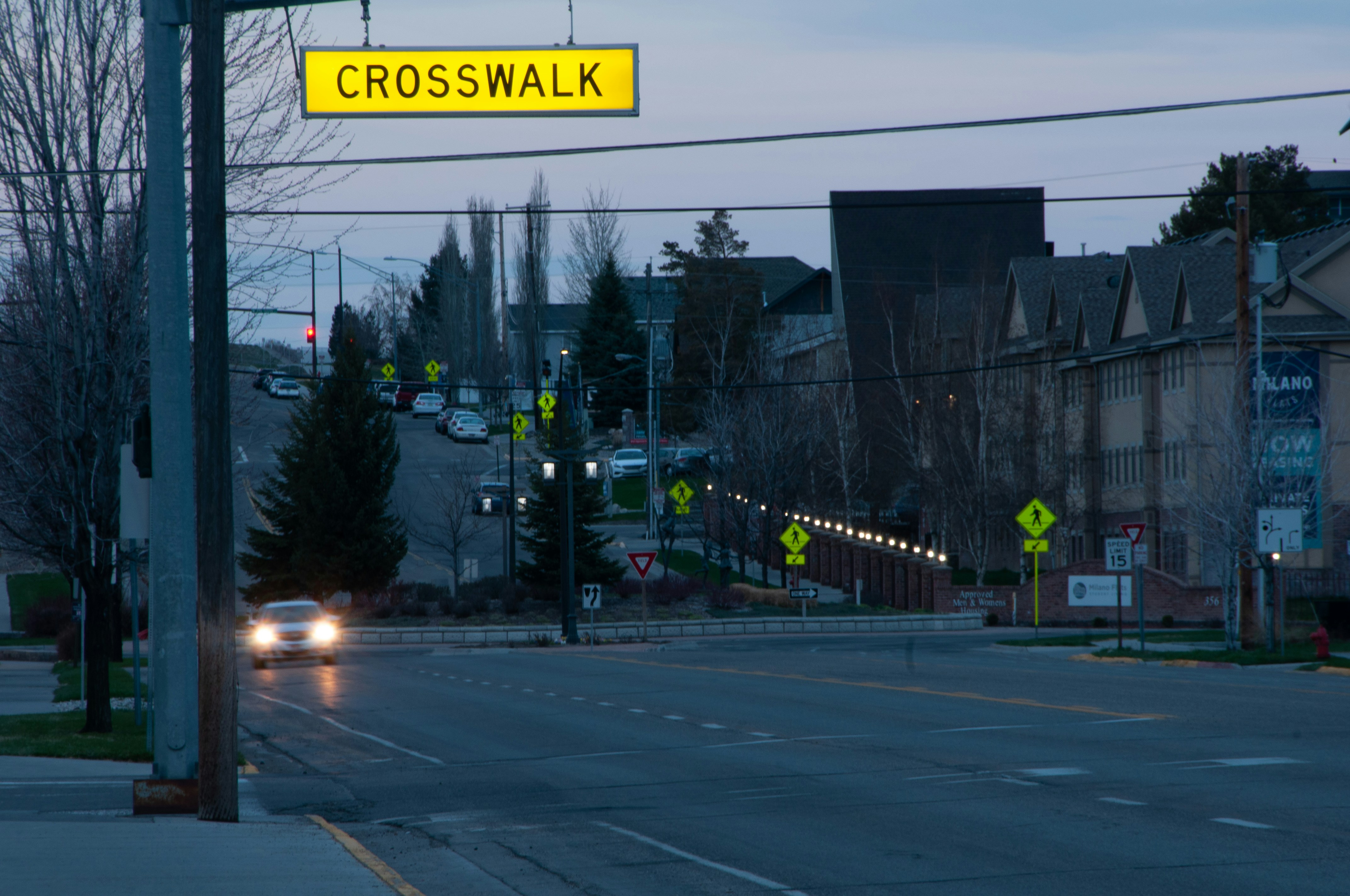 Blue Hour Crosswalk: Distant Headlights Lead a Quiet Campus Street.