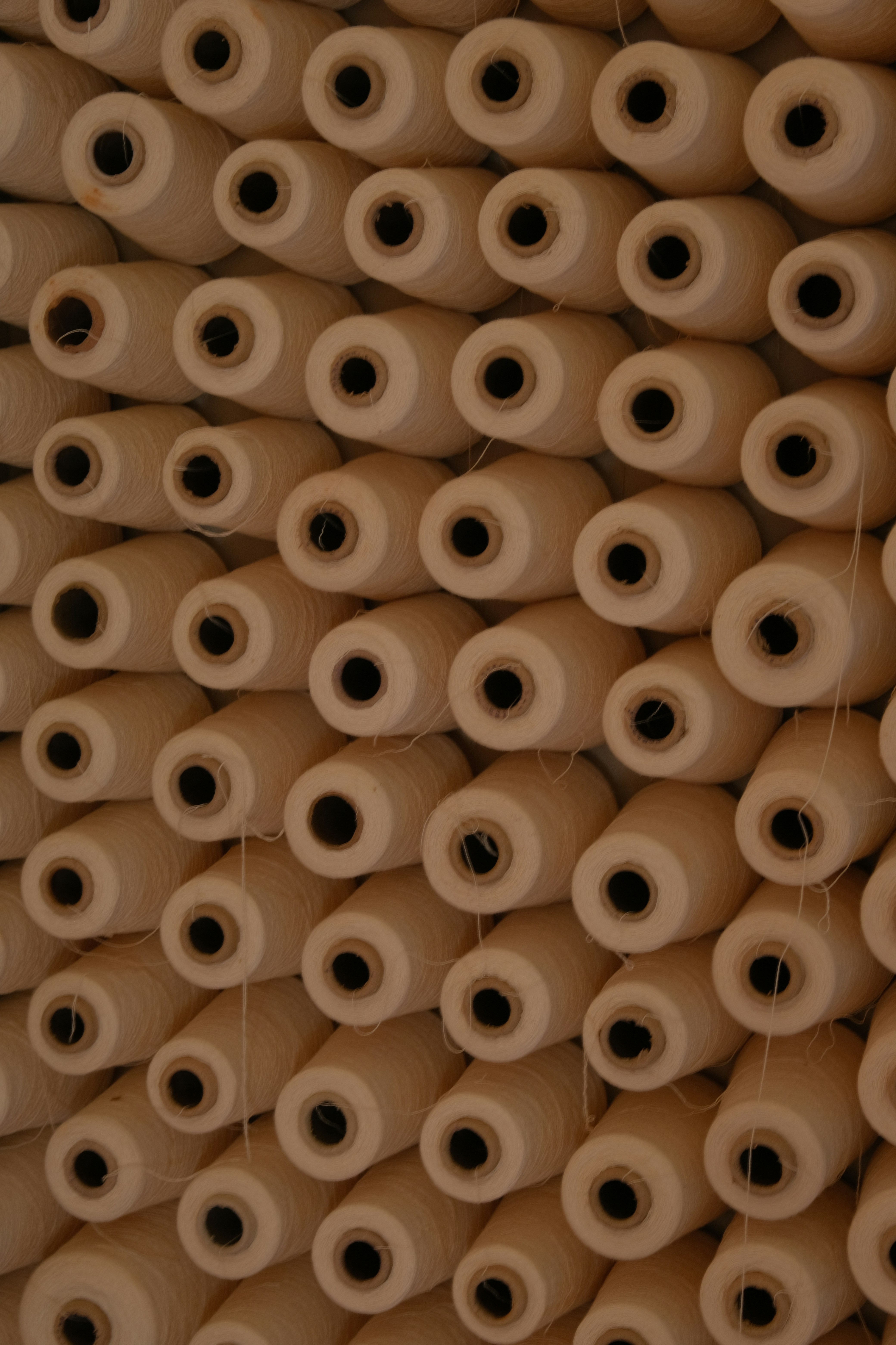 Spools of thread are neatly arranged in rows.