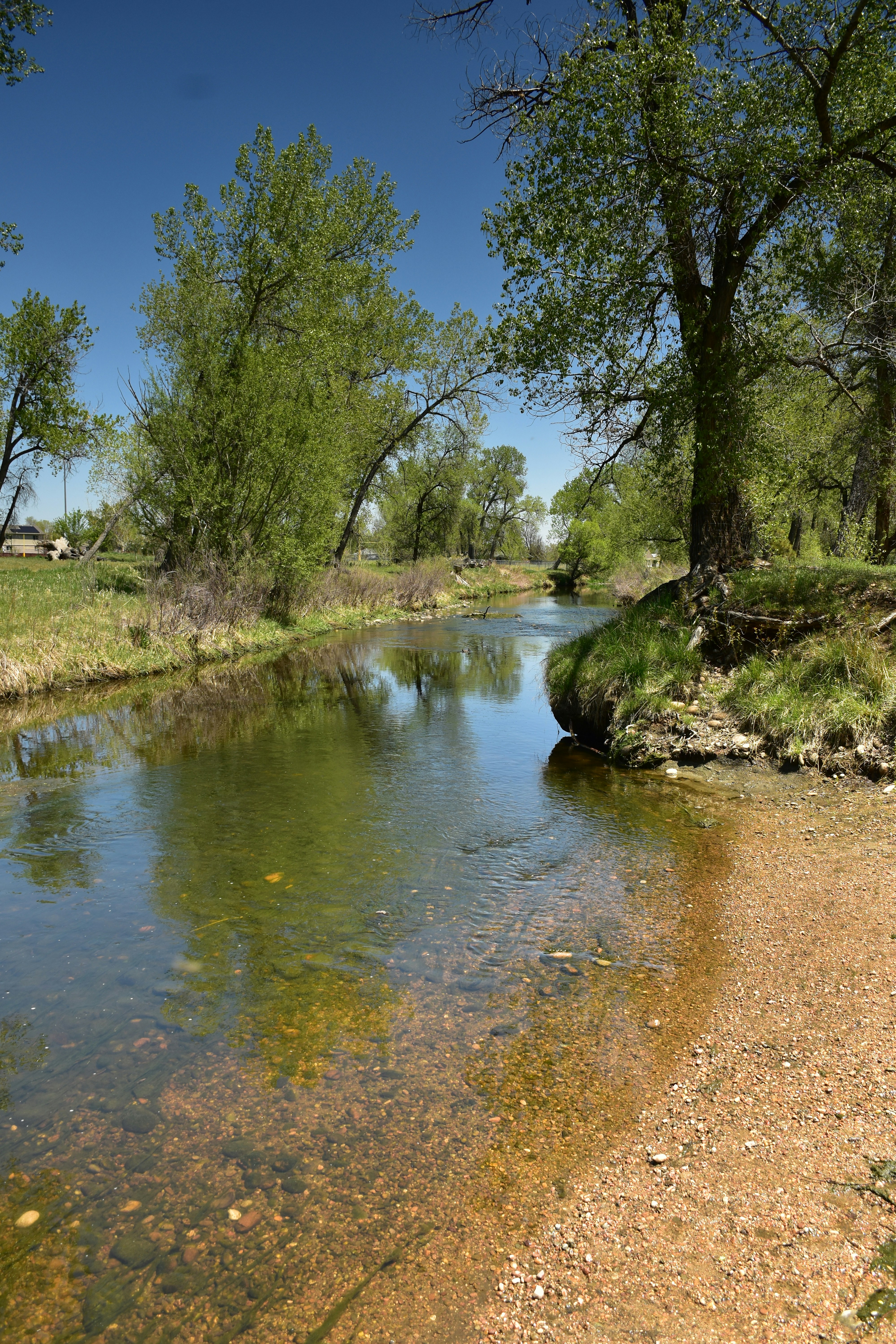 Photo by Gennady Zakharin with Nikon D3500