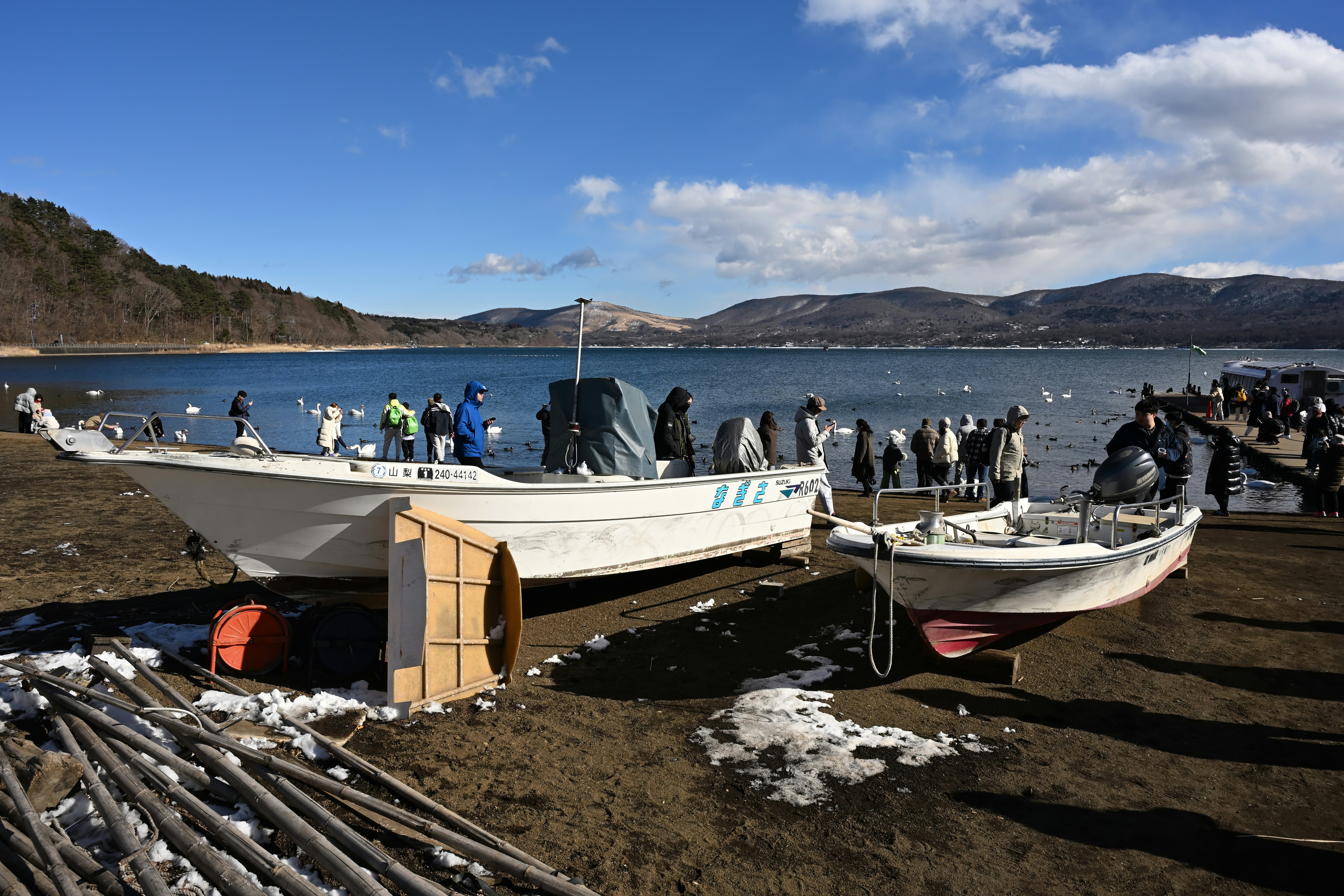 Harbor's Quiet Stage: White Boats Rest on a Mudflat as Crowds Gather