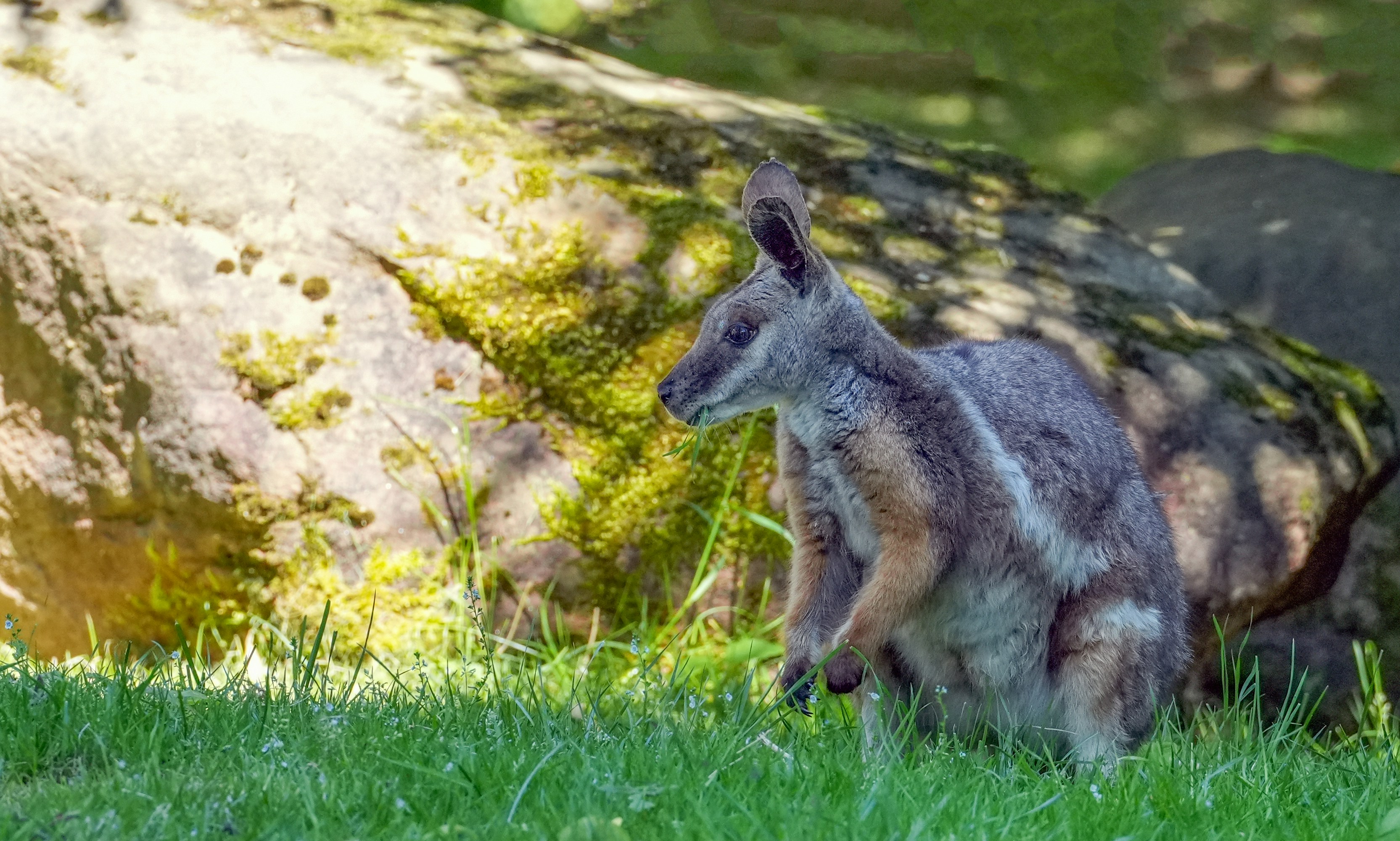 Photo by Markus Kammermann with Sony Alpha 7R V