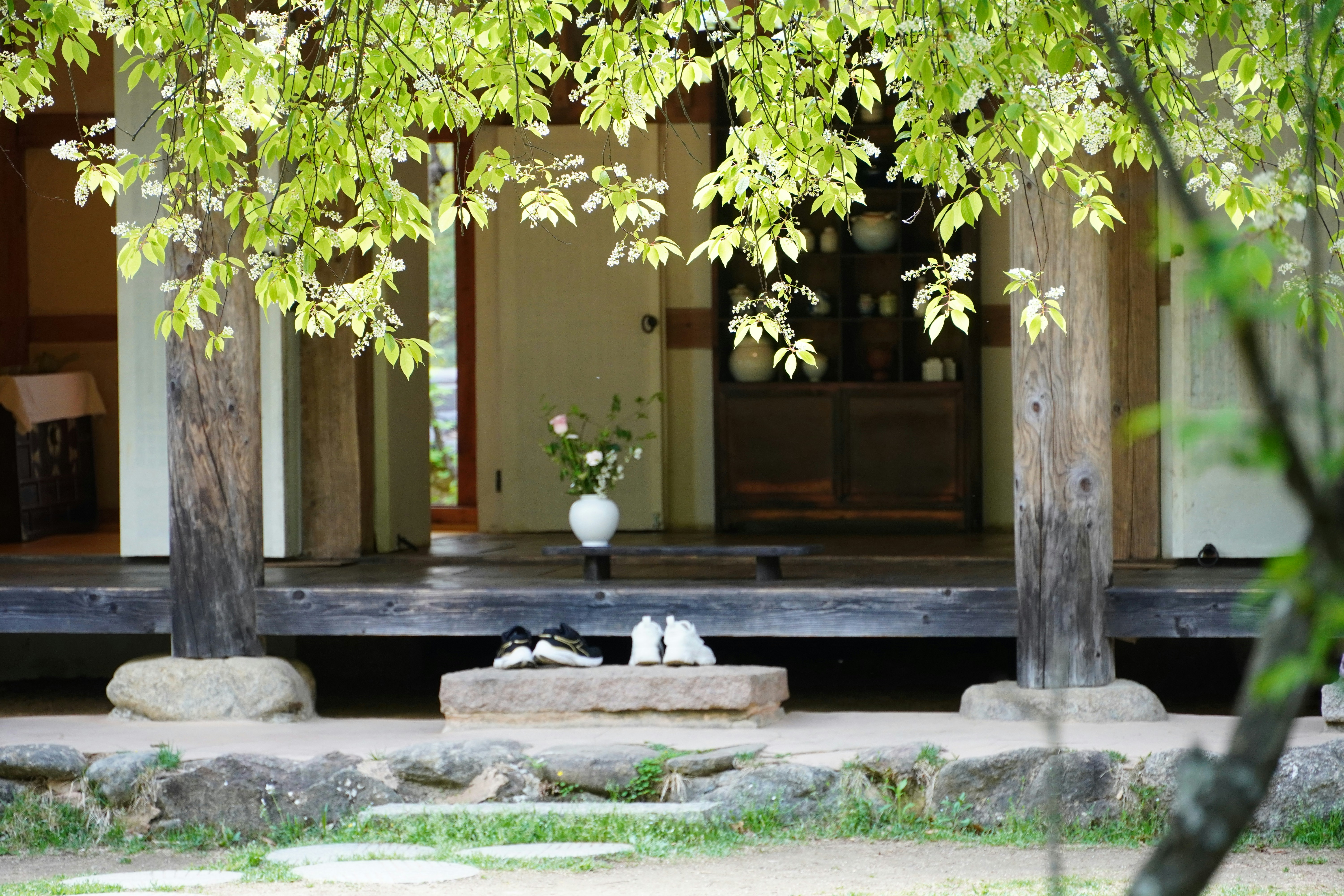 Vase at the Threshold: Quiet Light on a Japanese Veranda