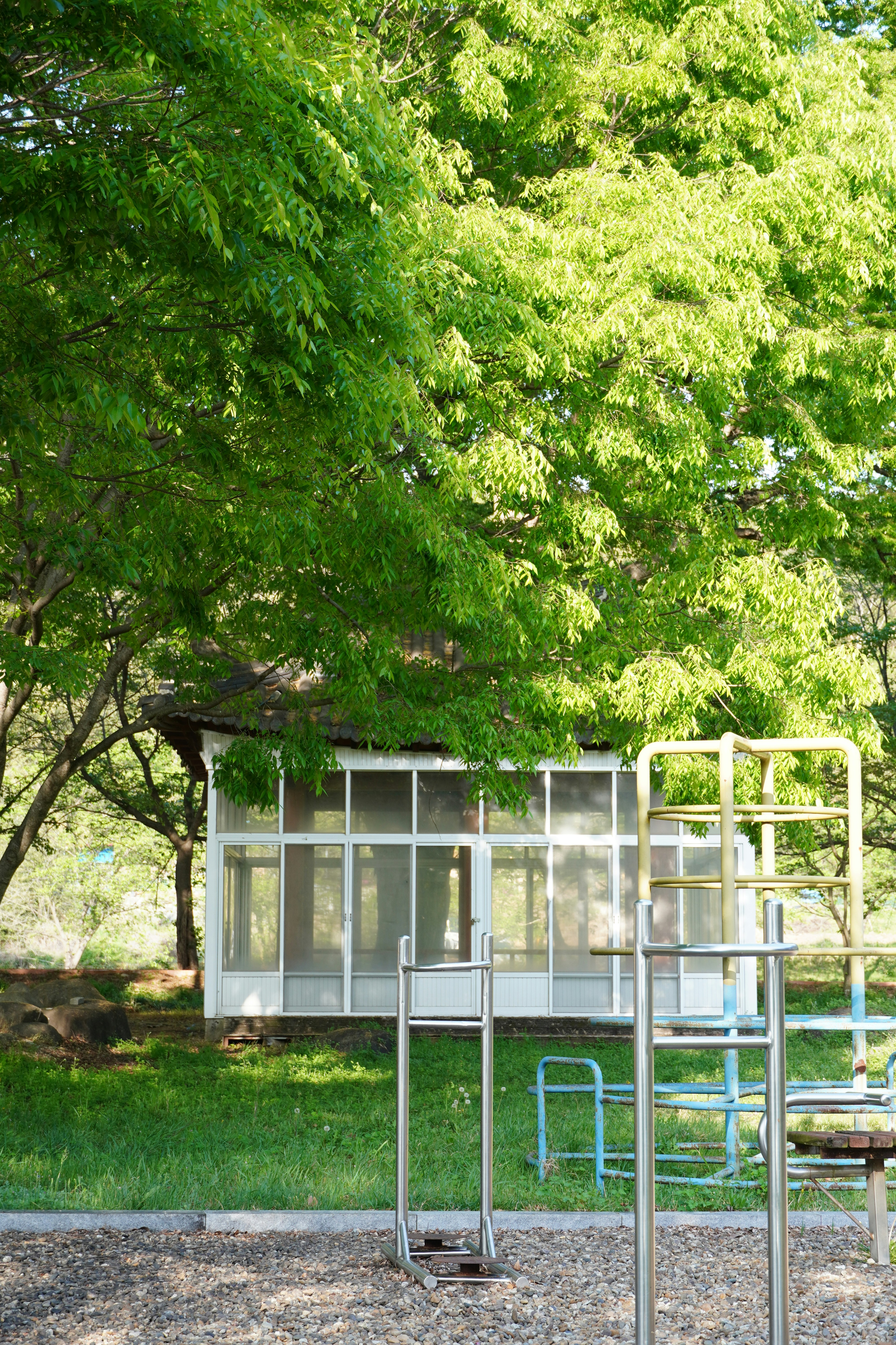 Verdant Canopy Framing a Glass-Walled Park Shelter in Quiet Afternoon Light
