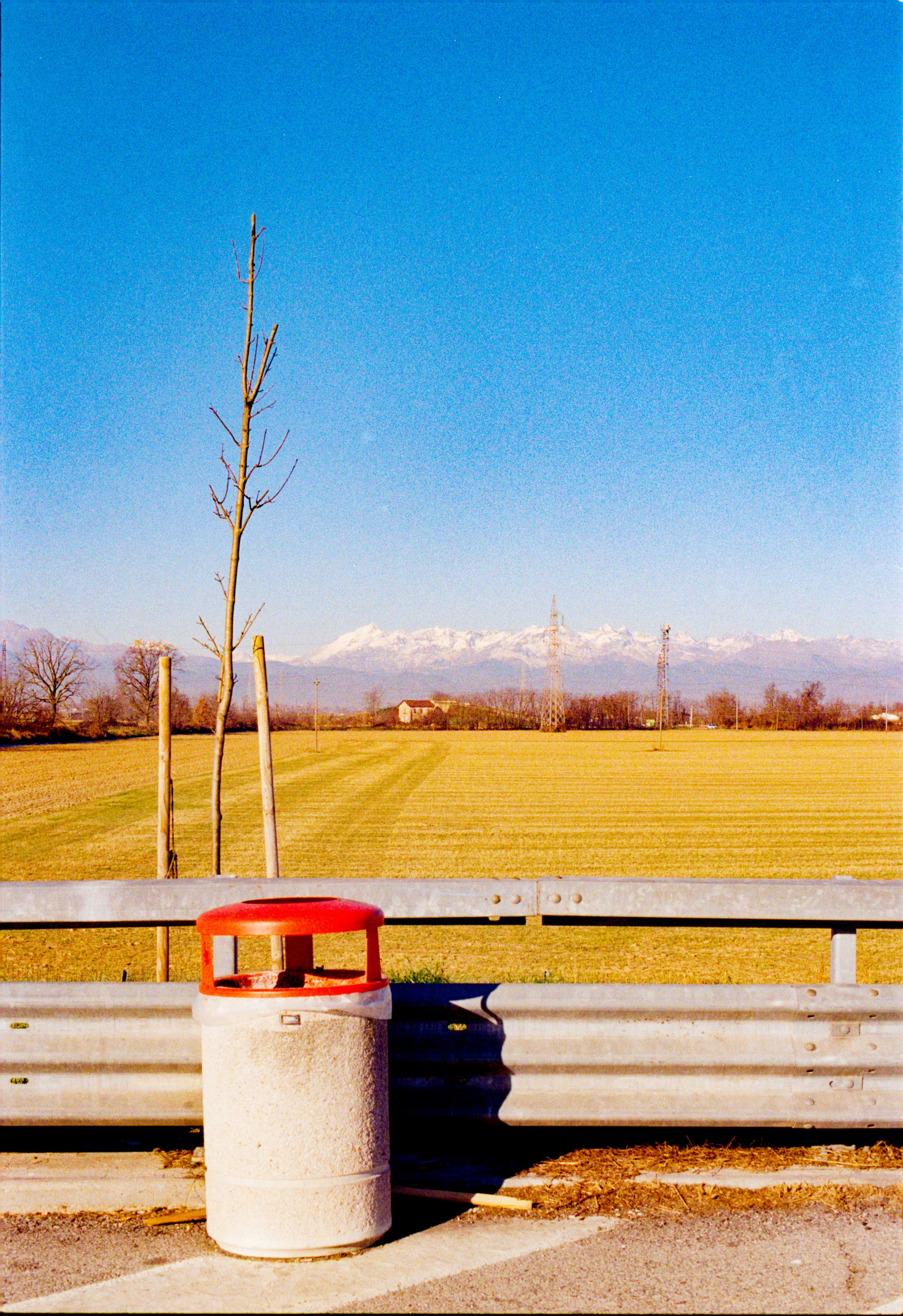 Red-Capped Sentinel by the Rails in a Quiet Rural Morning